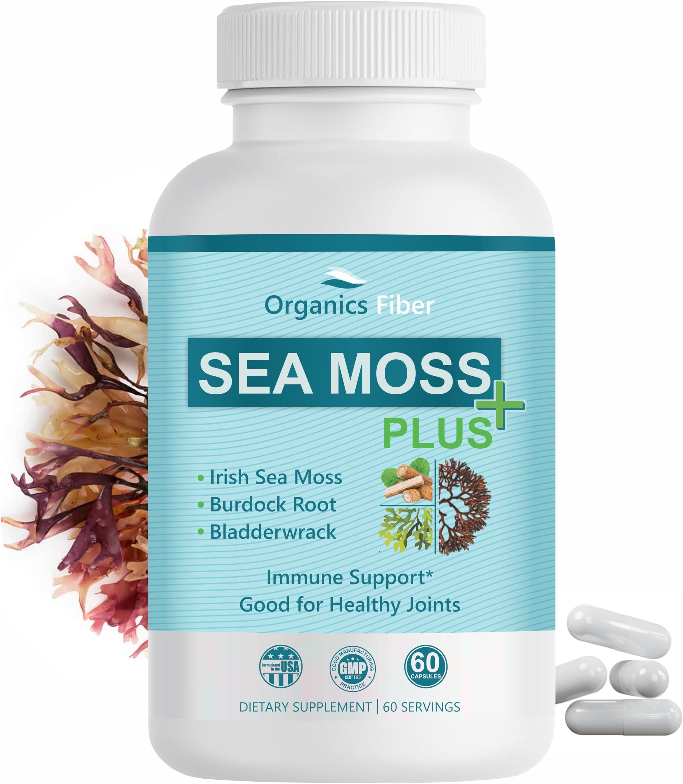 Amazon.com: Organics Ocean Wild Sea Moss Capsules - 100% Organic Irish ...
