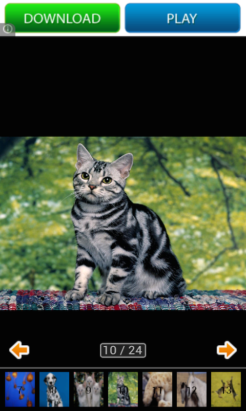 Animal Pictures App 2 - App on Amazon Appstore