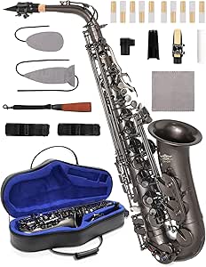 Amazon.com: AKLOT Handcrafted E-Flat Alto Saxophone: Matte Black Nickel ...