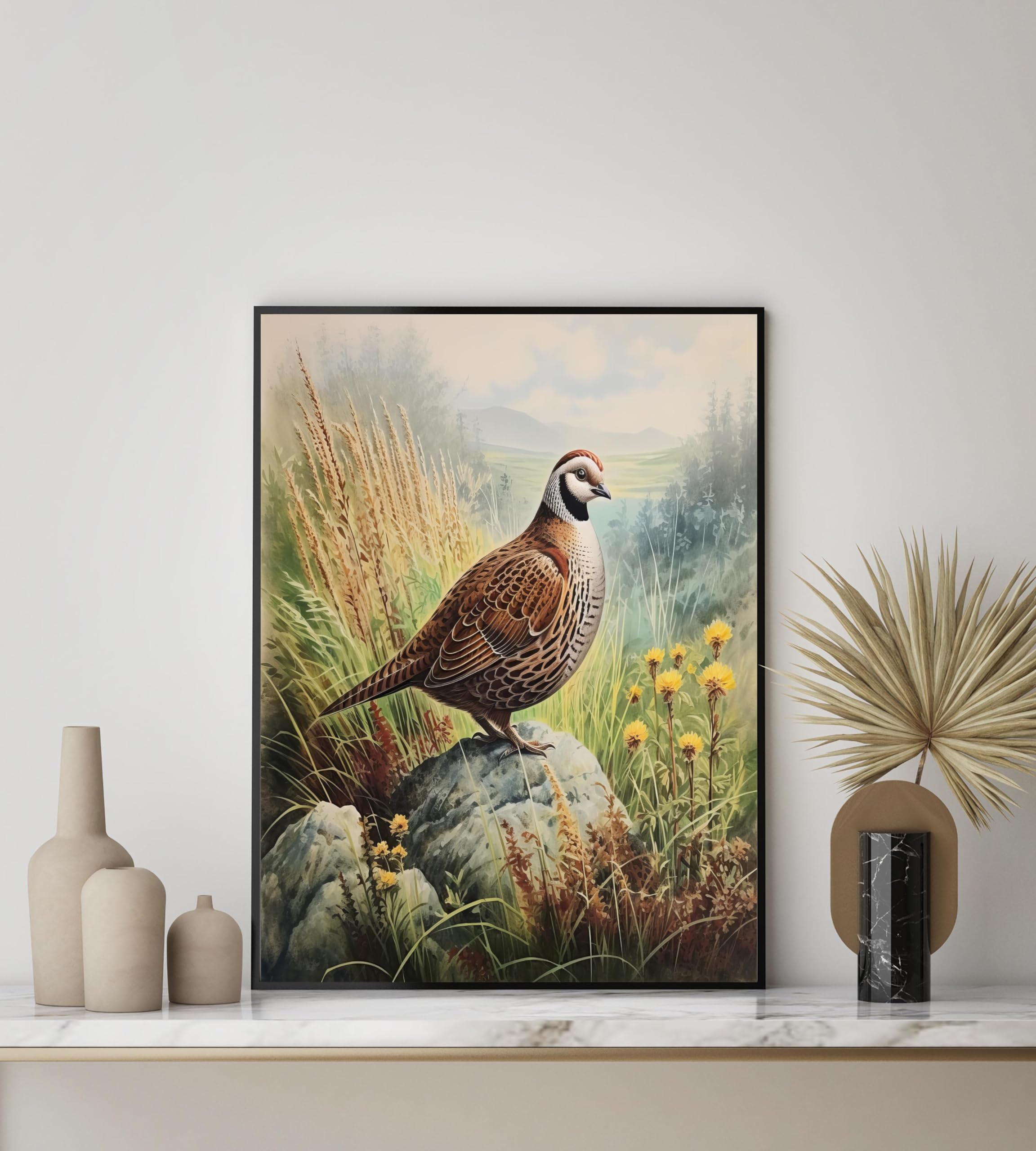 Dibujo De Codorniz Bobwhite