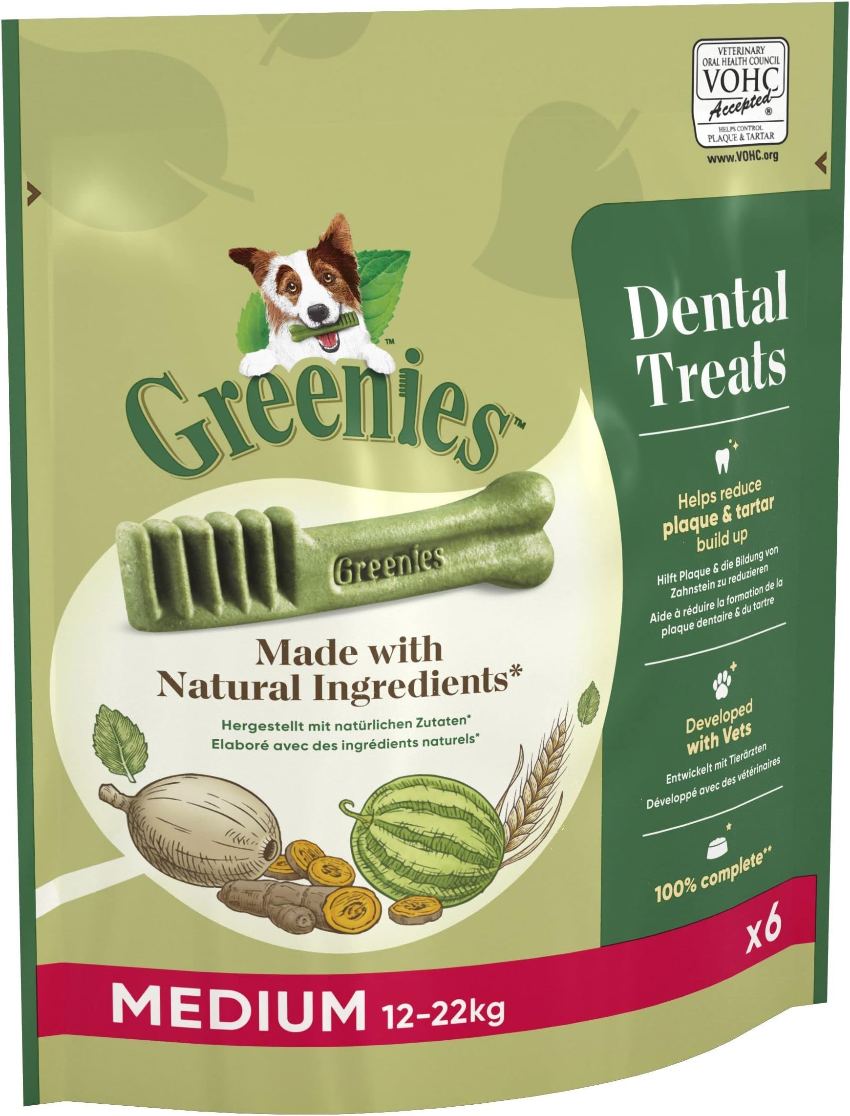 Greenies Original Dog Dental Chew Petite Size 10 count - Pack of 4 ...