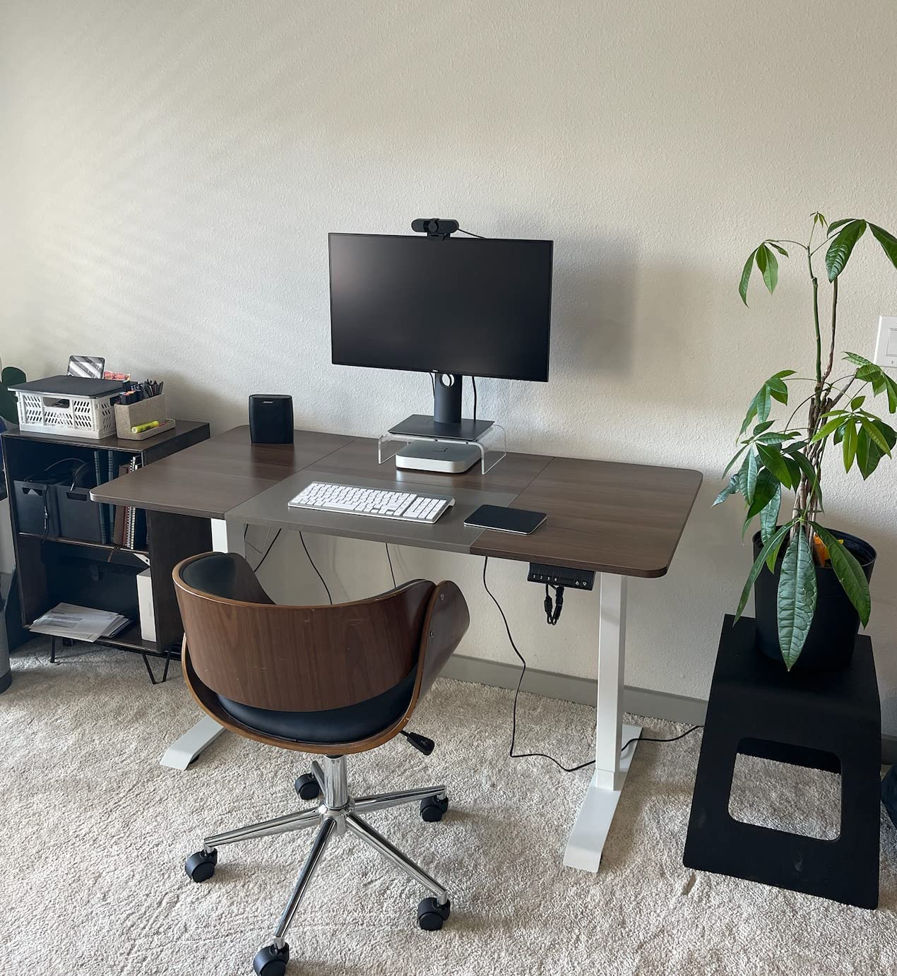 $27/mo - Finance Homall Height Adjustable Electric Standing Desk, 55 x ...