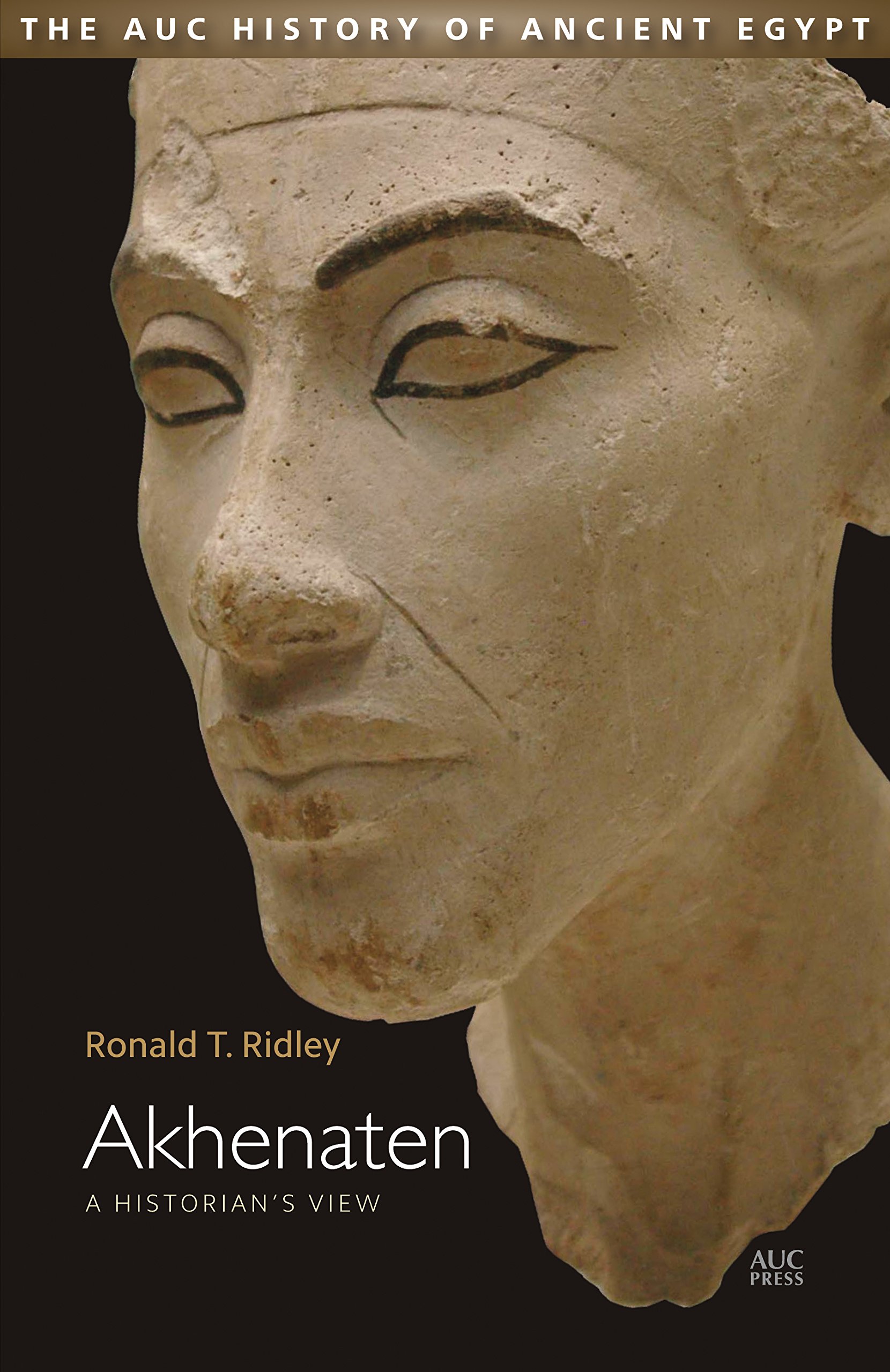 Akhenaten: A Historian's View (AUC History of Ancient Egypt, The ...
