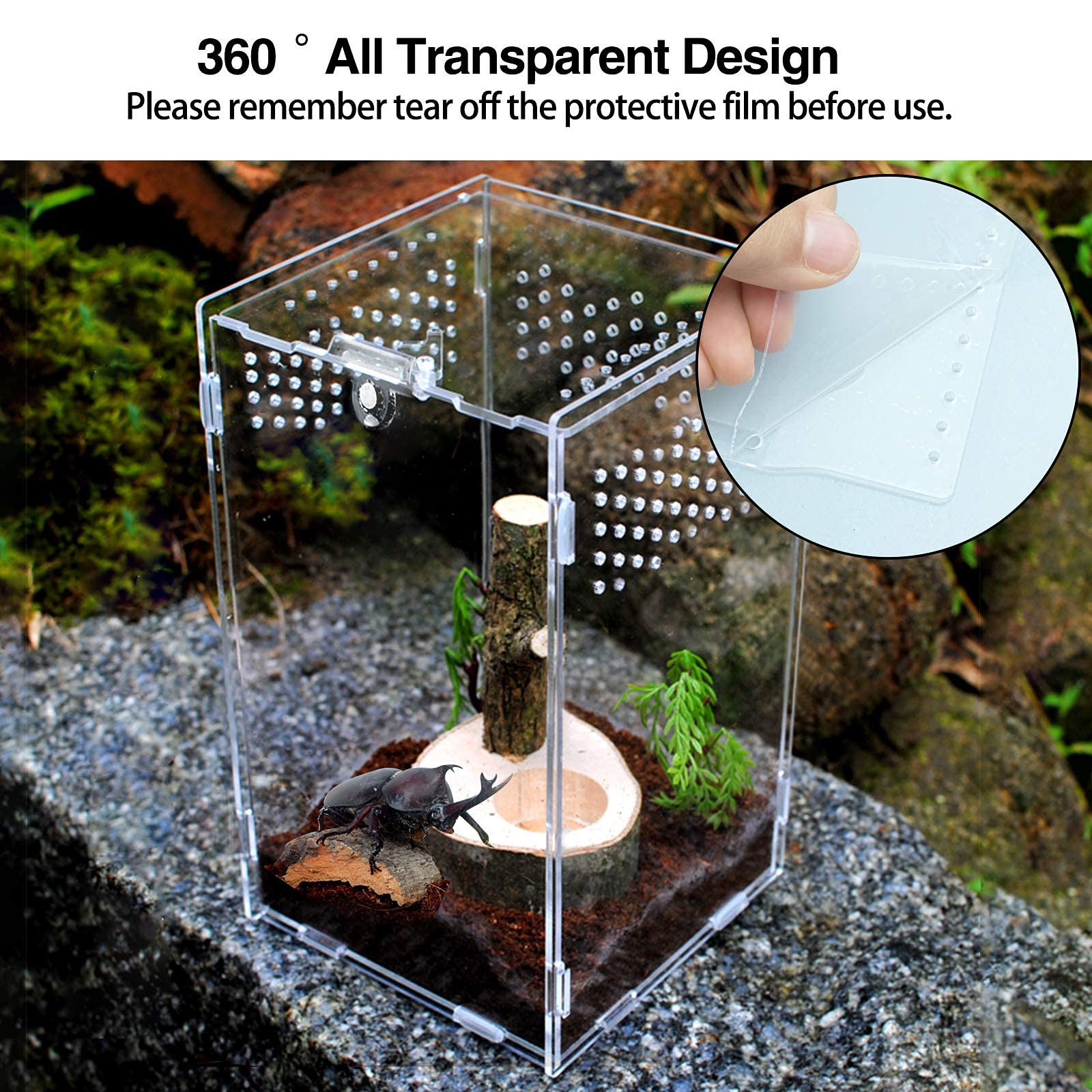 Snapklik.com : Reptile Feeding Box, Acrylic Reptile Terrarium Enclosure ...