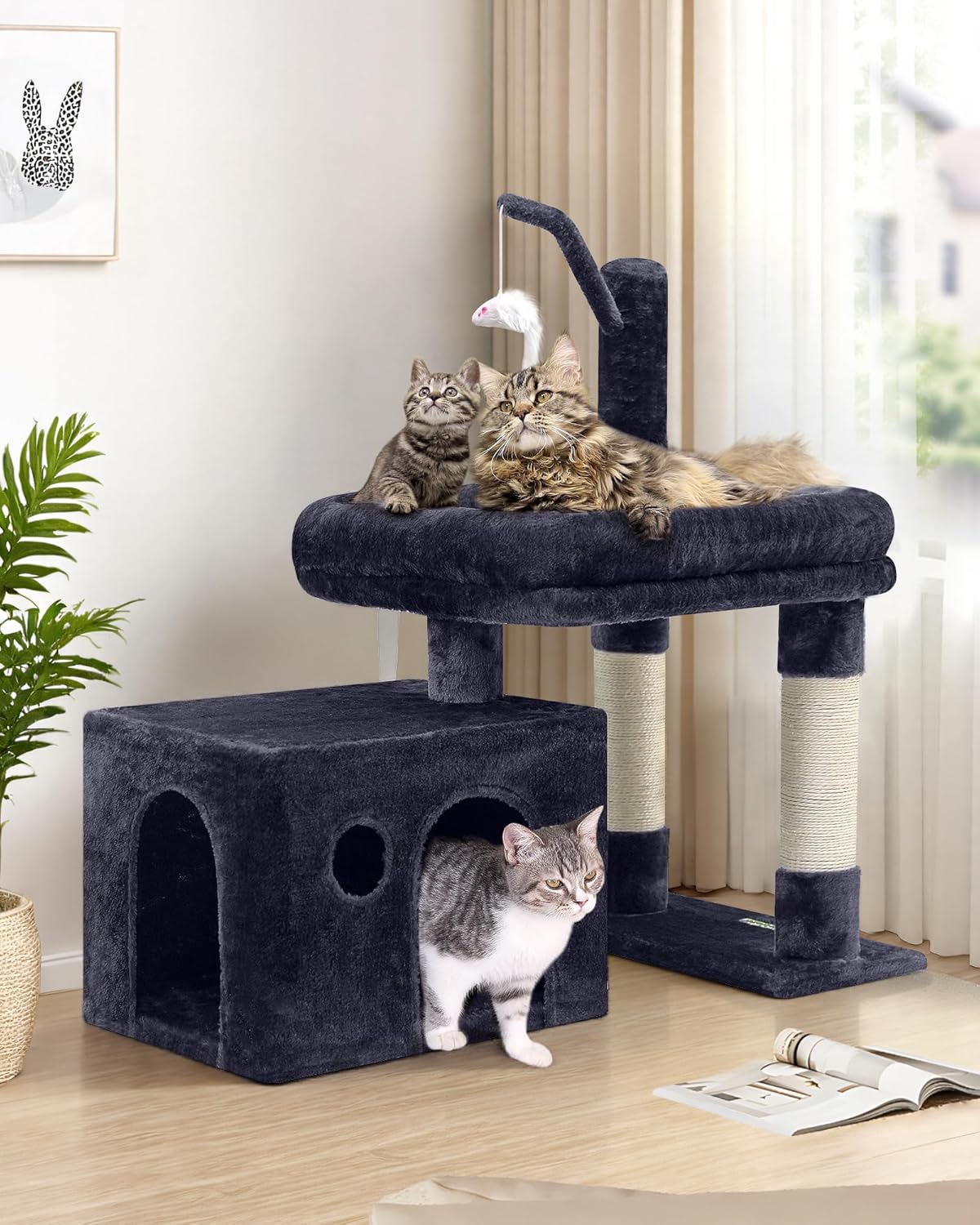 Amazon.com : Globlazer Small Cat Tree for Large Indoor Cat, Short Cat ...