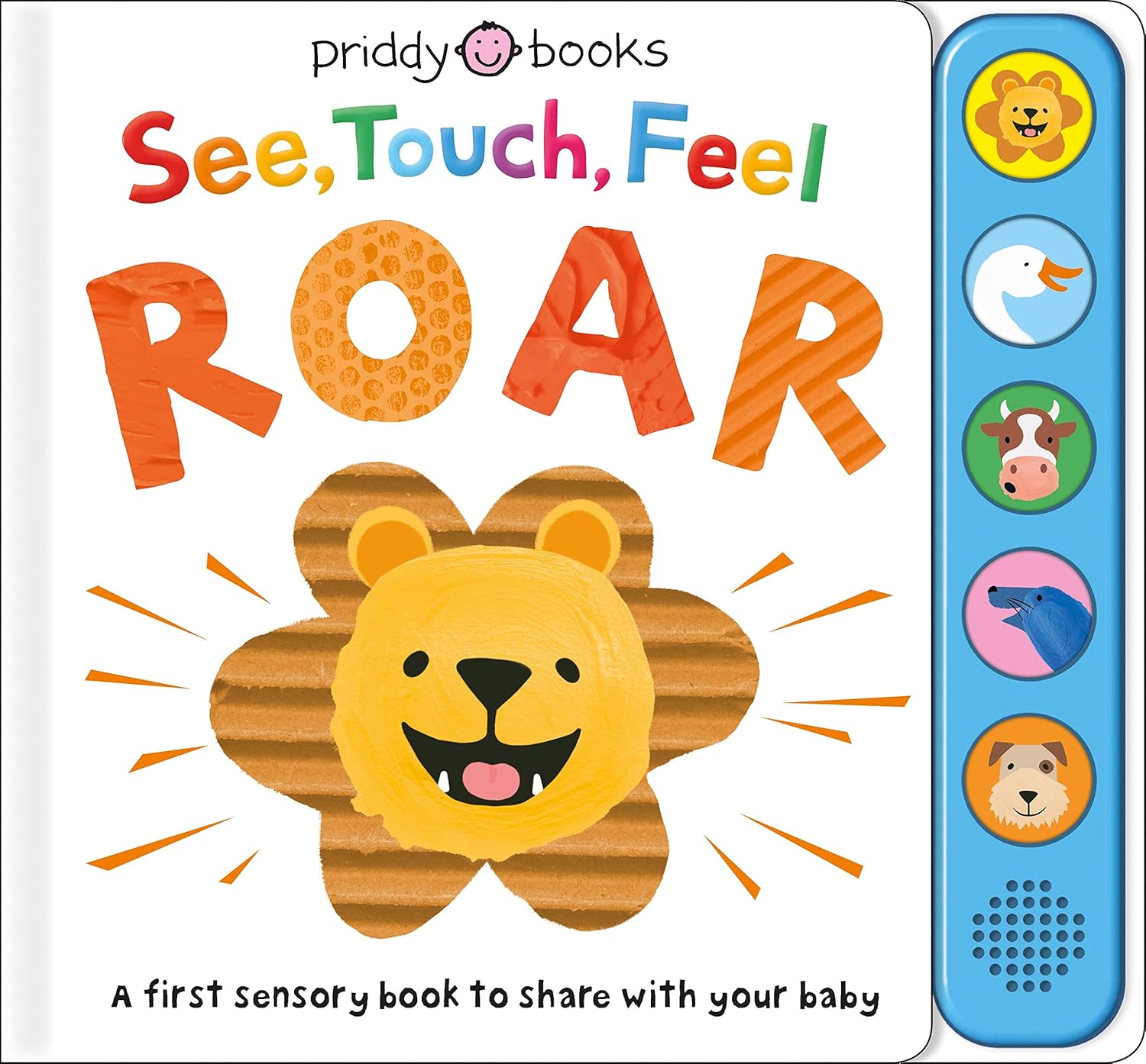 Amazon.com: See, Touch, Feel: Roar: A First Sensory Book: 9780312530129 ...