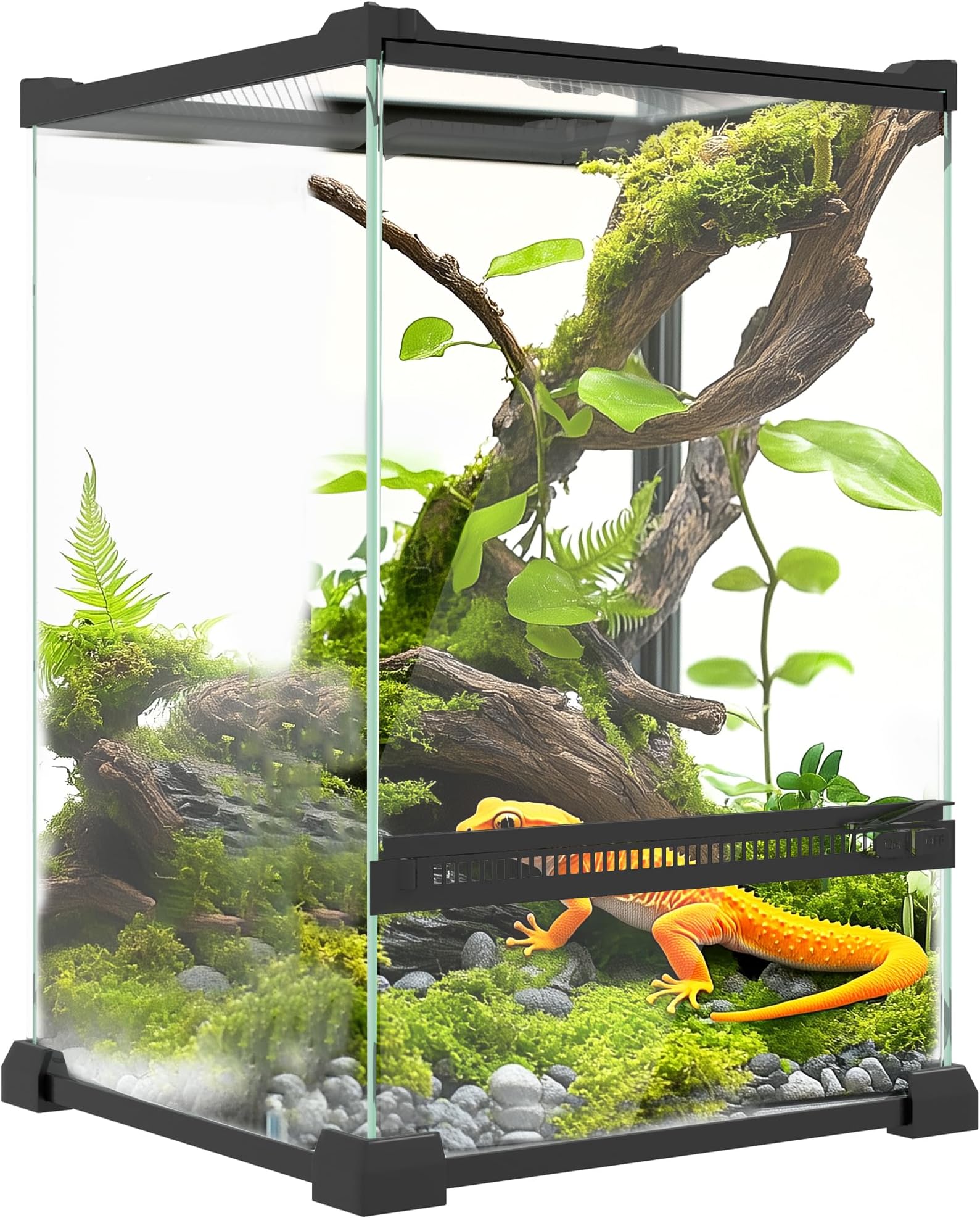 Exo Terra Glass Natural Terrarium, Nano/Tall,Black, 20 x 20 x 30 cm ...