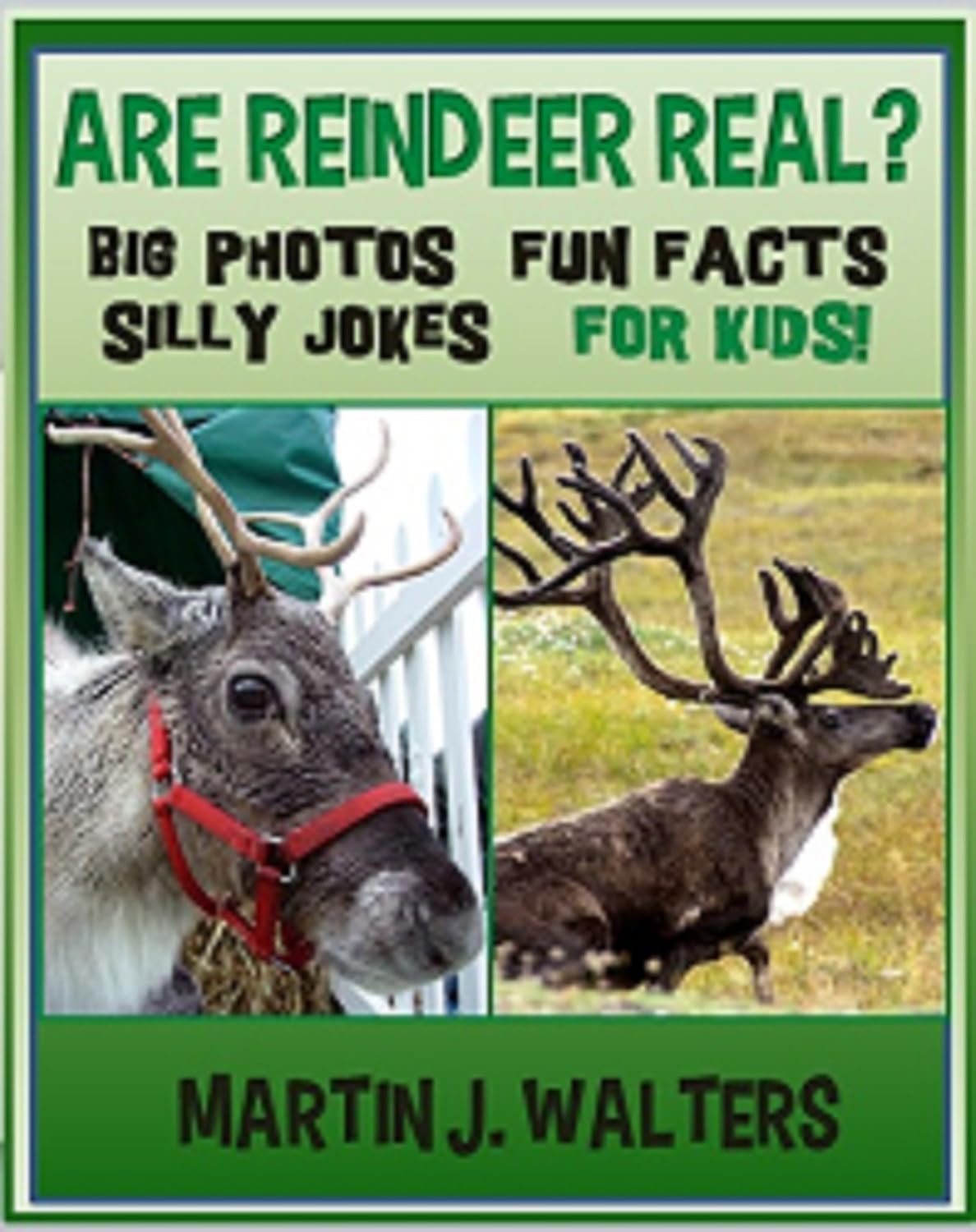 Are Reindeer Real? 30+ Big Photos Fun Facts Silly Jokes For Kids ...