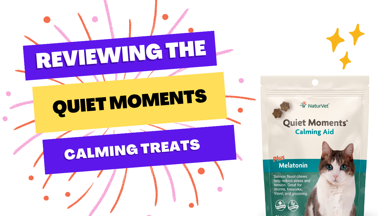 Watch Reviewing NaturVet Quiet Moments Calming Aid Cat Treat on Amazon Live