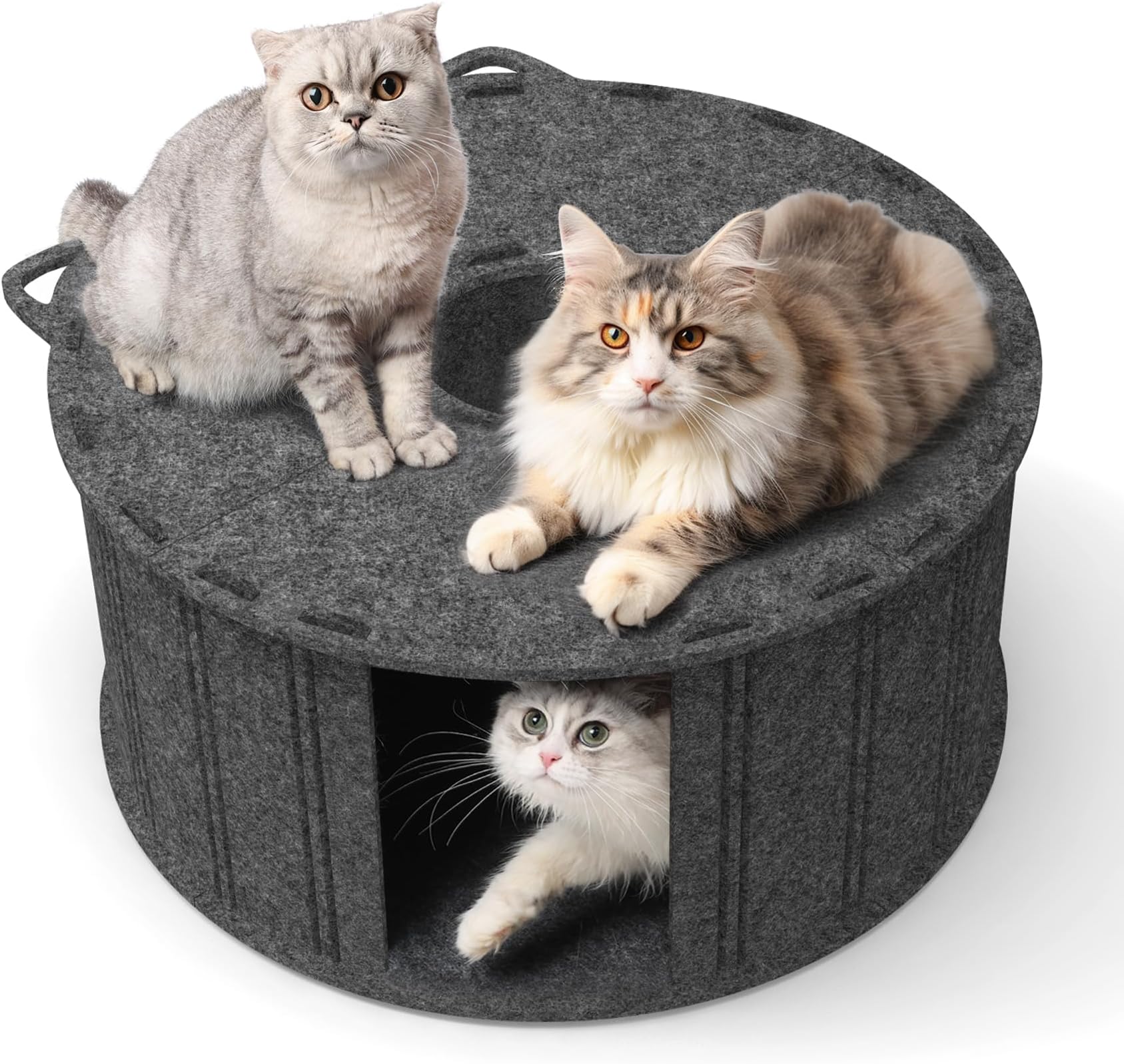 Amazon.com : ComSaf Cat Donut Tunnel Bed - Peekaboo Cat Cave Bed for ...