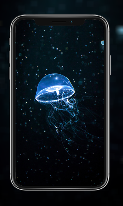 Jellyfish Wallpaper HD:Amazon.co.uk:Appstore for Android