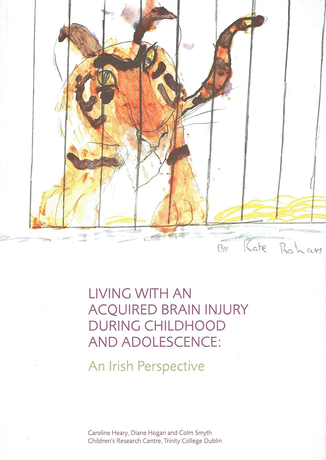 Living with an Acquired Brain Injury During Childhood and Adolescence ...