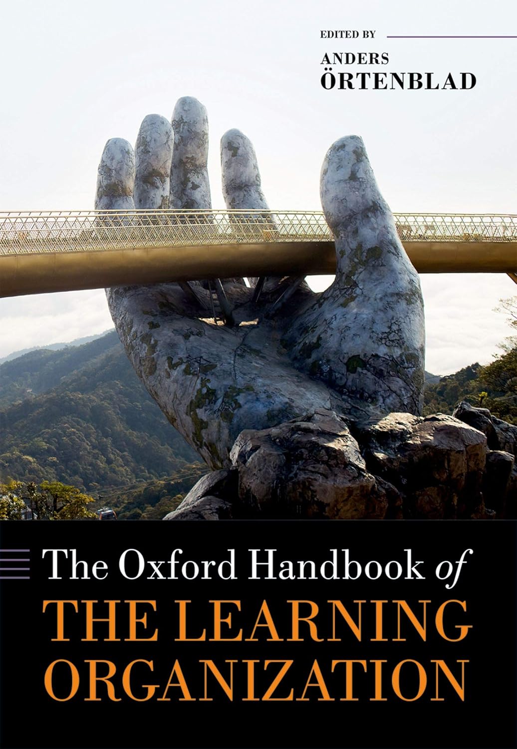 Amazon.com: The Oxford Handbook of the Learning Organization (Oxford ...