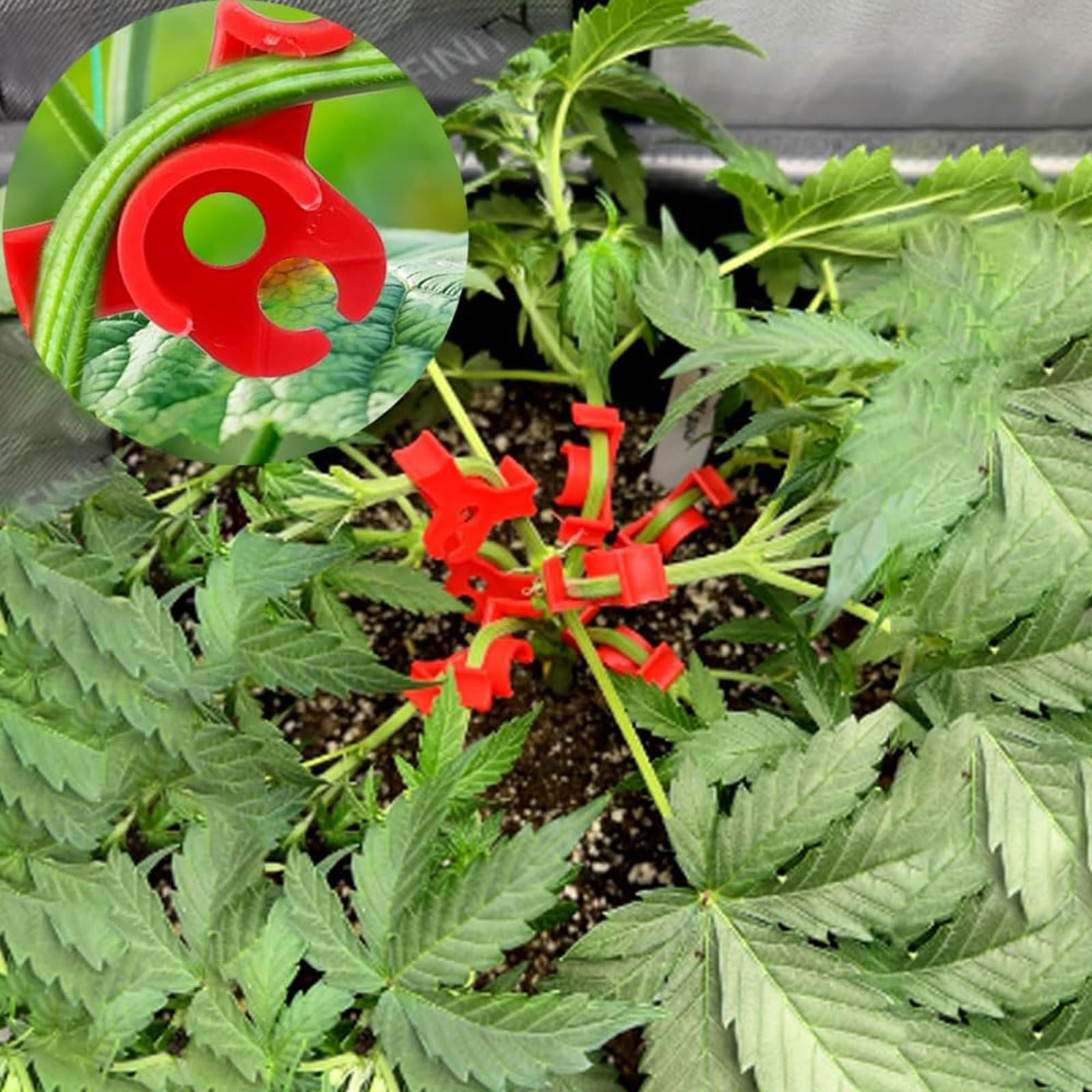 Yhjxly Pack of 40 Plant Benders, Plant Trainer for Low Load, Growth ...