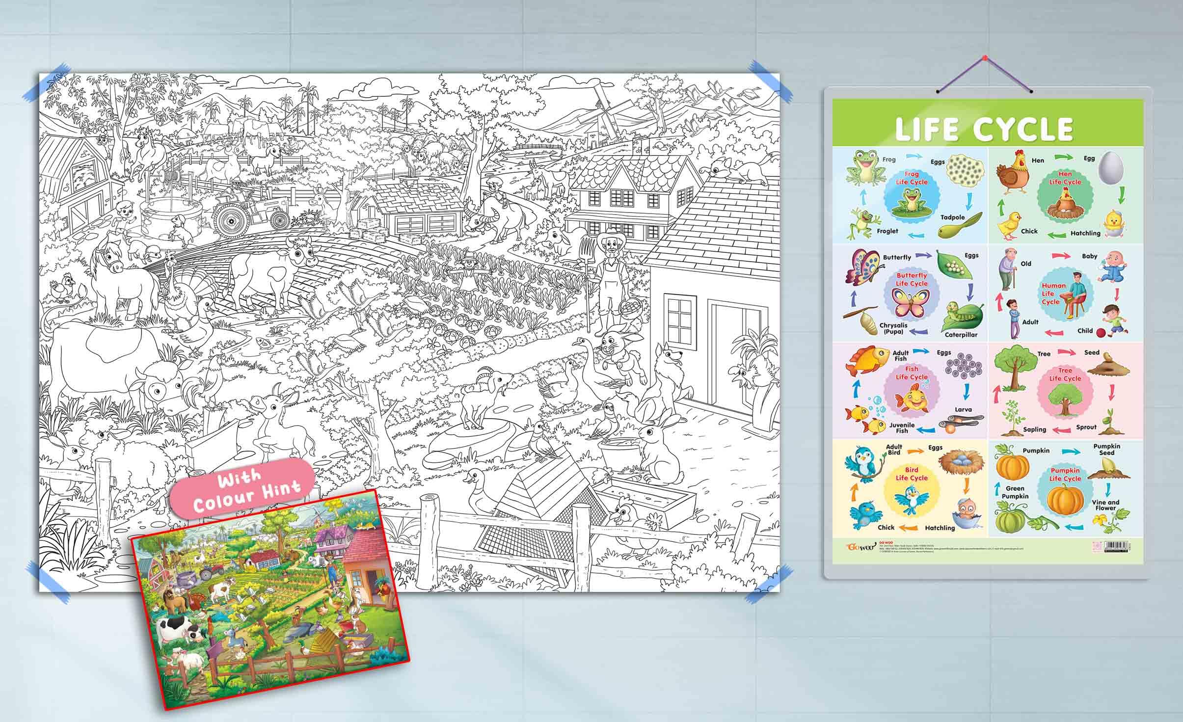 Buy GIANT AT THE FARM COLOURING and Life Cycle | Combo of 1 Colouring ...
