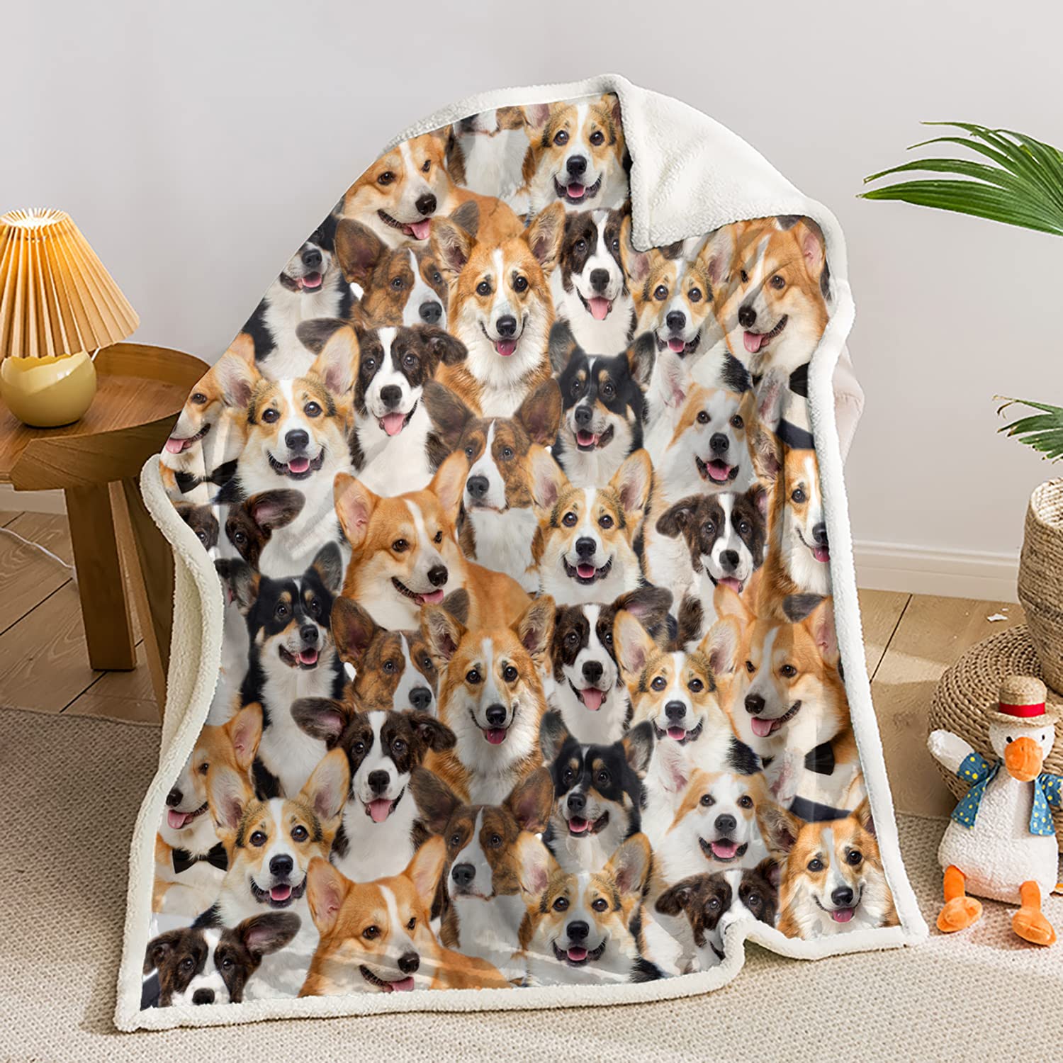 Amazon.com: AILONEN Corgi Dog Blanket for Kids Adults, Corgi Animal ...