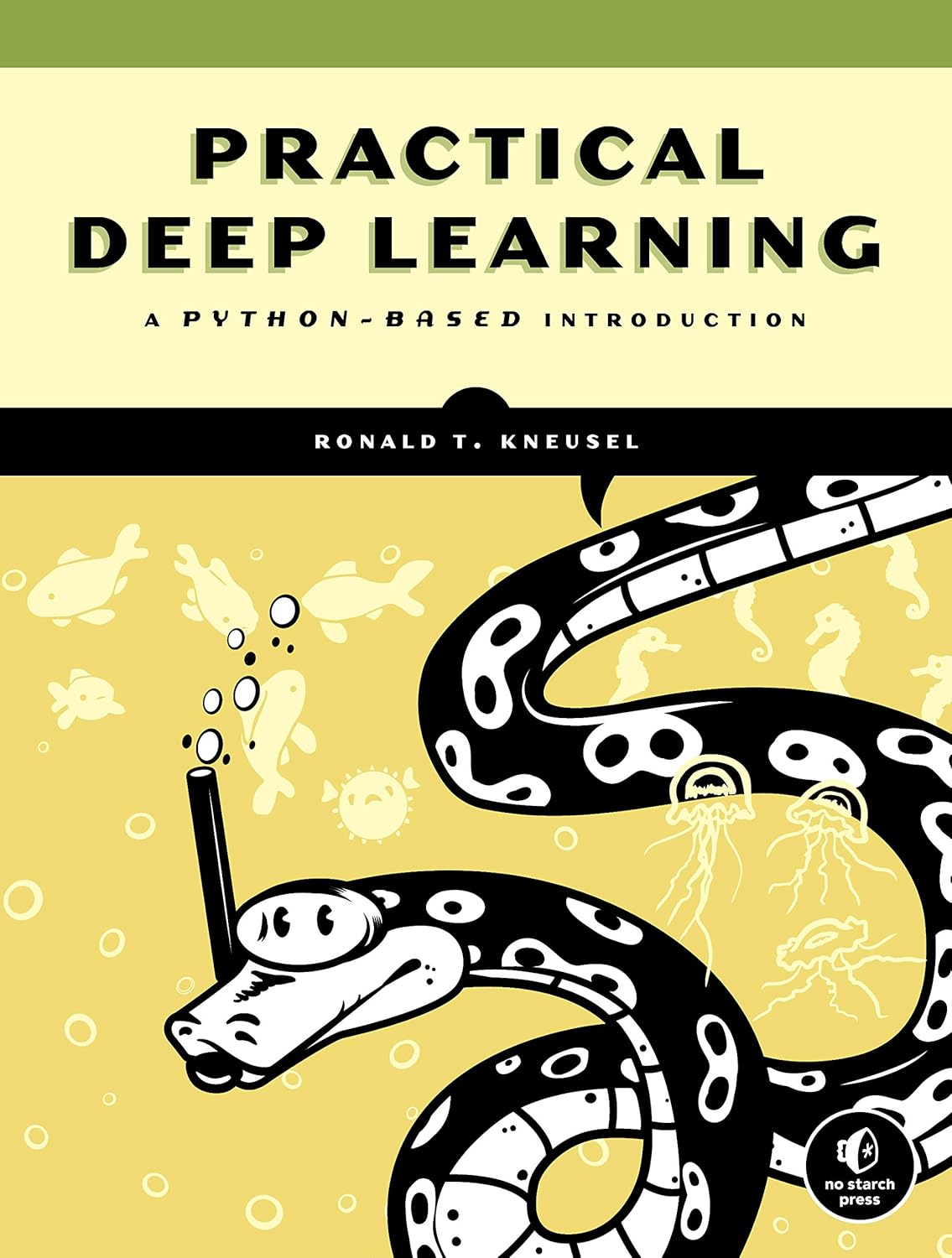 Practical Deep Learning: A Python-Based Introduction: Kneusel, Ronald T ...