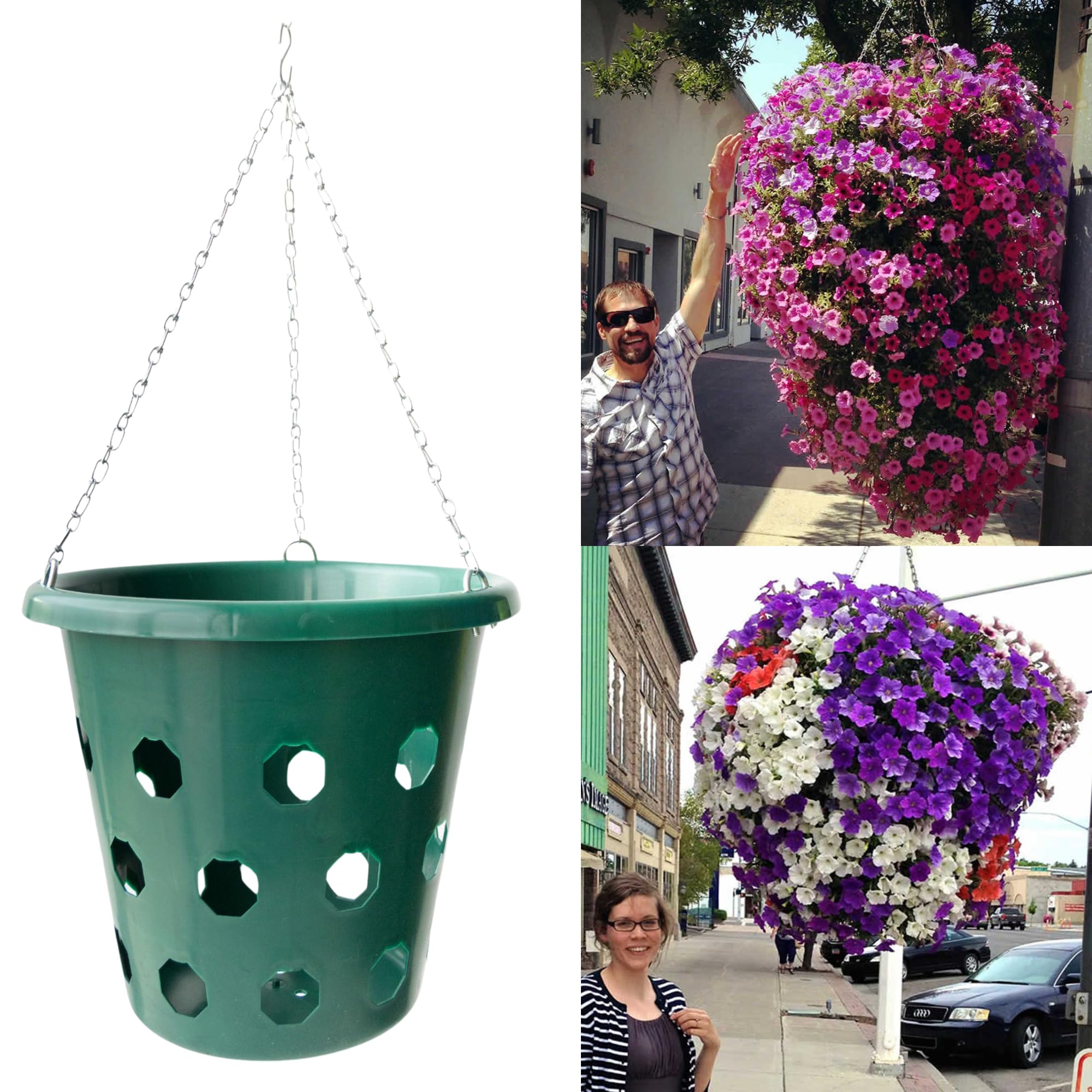 Amazon.com: Bloom Master Hanging Baskets - 6 Gallon (1 Pack) - Large ...