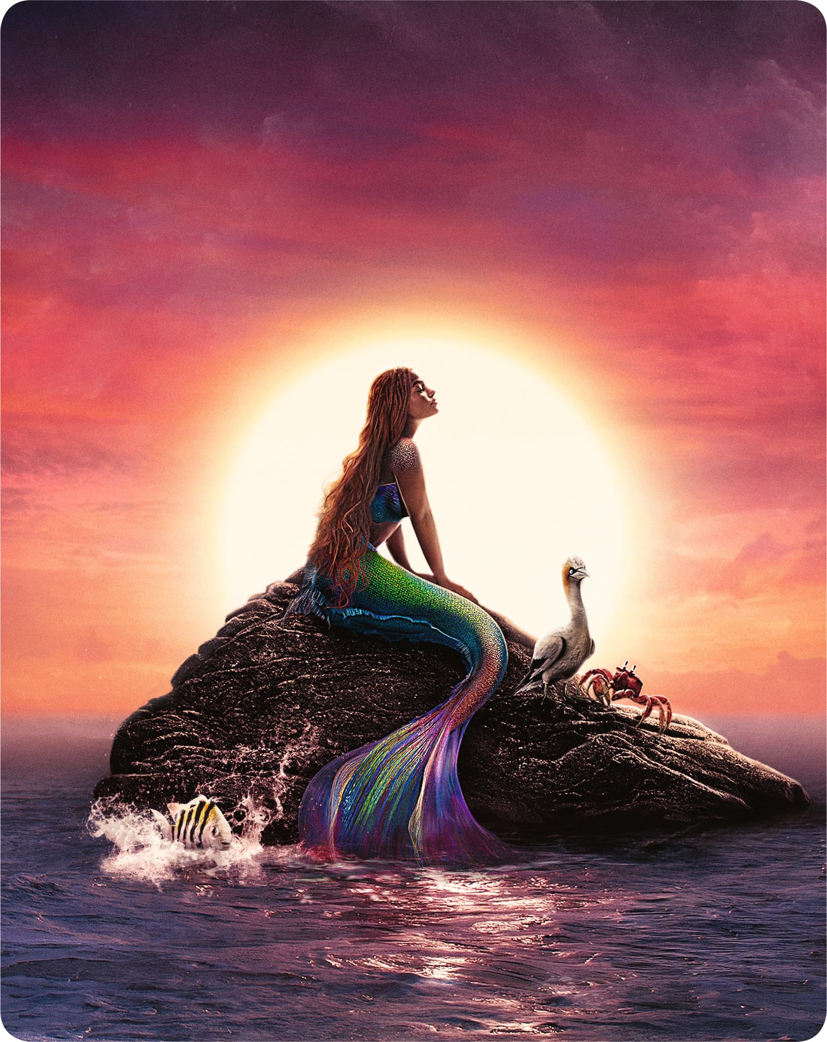 Disney's The Little Mermaid (Live Action 2023) 4K UHD Steelbook [Blu ...