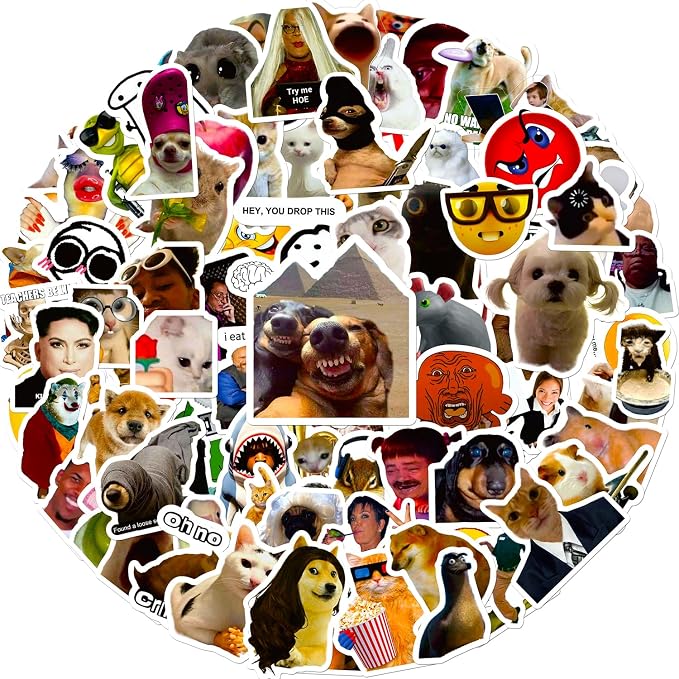 Amazon.com: 100 Pieces Funny Meme Stickers, Cute Internet Meme Stickers ...