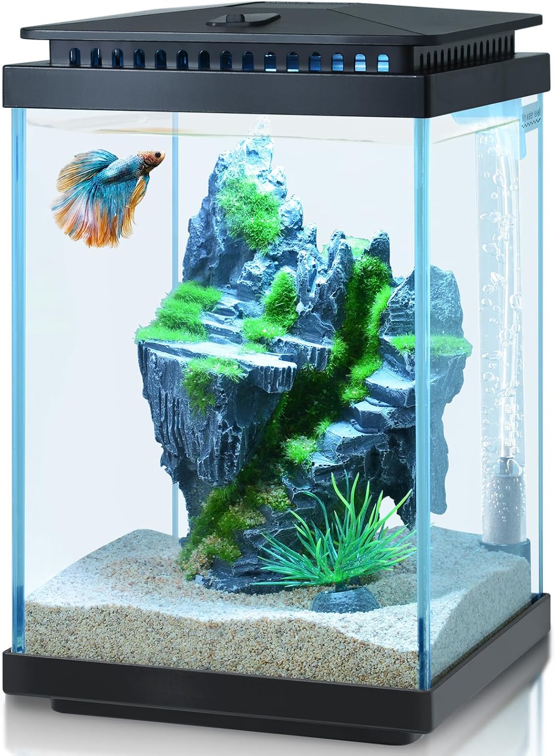 Amazon.com : FEDOUR Small Glass Fish Tank, 1.5 Gallon Desktop Fish Tank ...