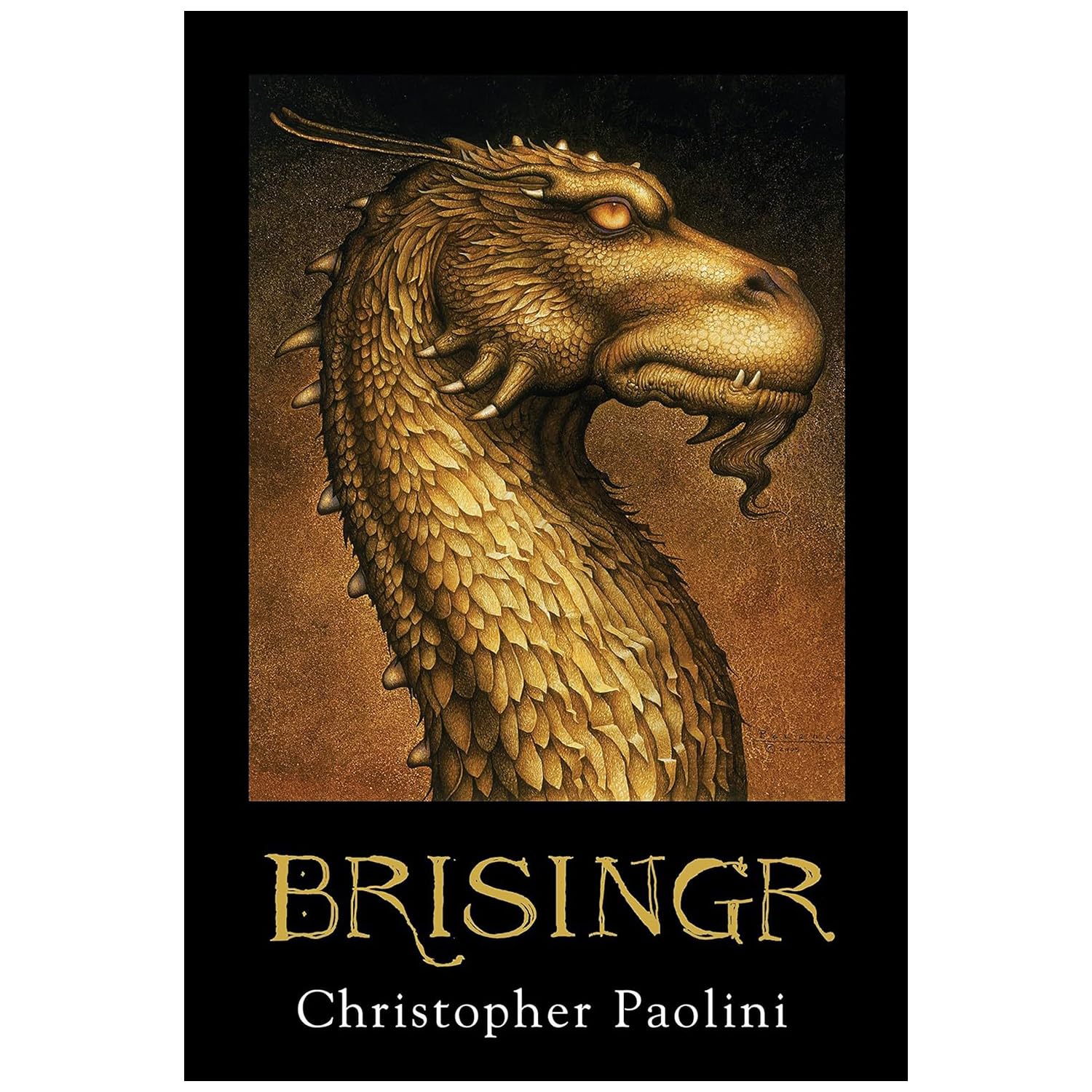 Snapklik.com : The Inheritance Cycle Series, Set Of 5 Books Eragon ...