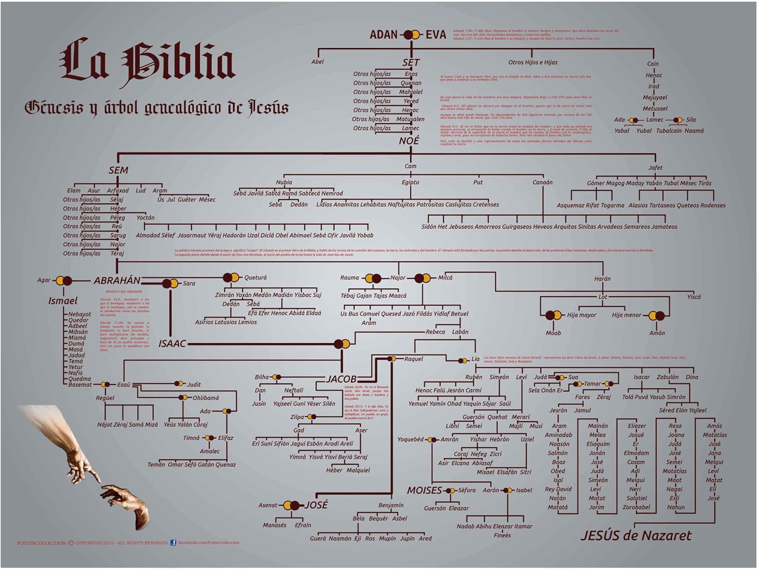 Póster de la Biblia (68cm x 48cm) - Bible Genesis - : Amazon.es: Hogar ...