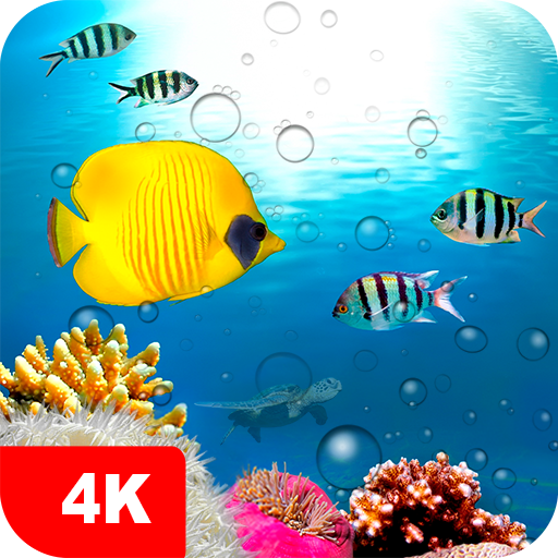 Fish Wallpapers and Backgrounds apps 4k - App on Amazon Appstore