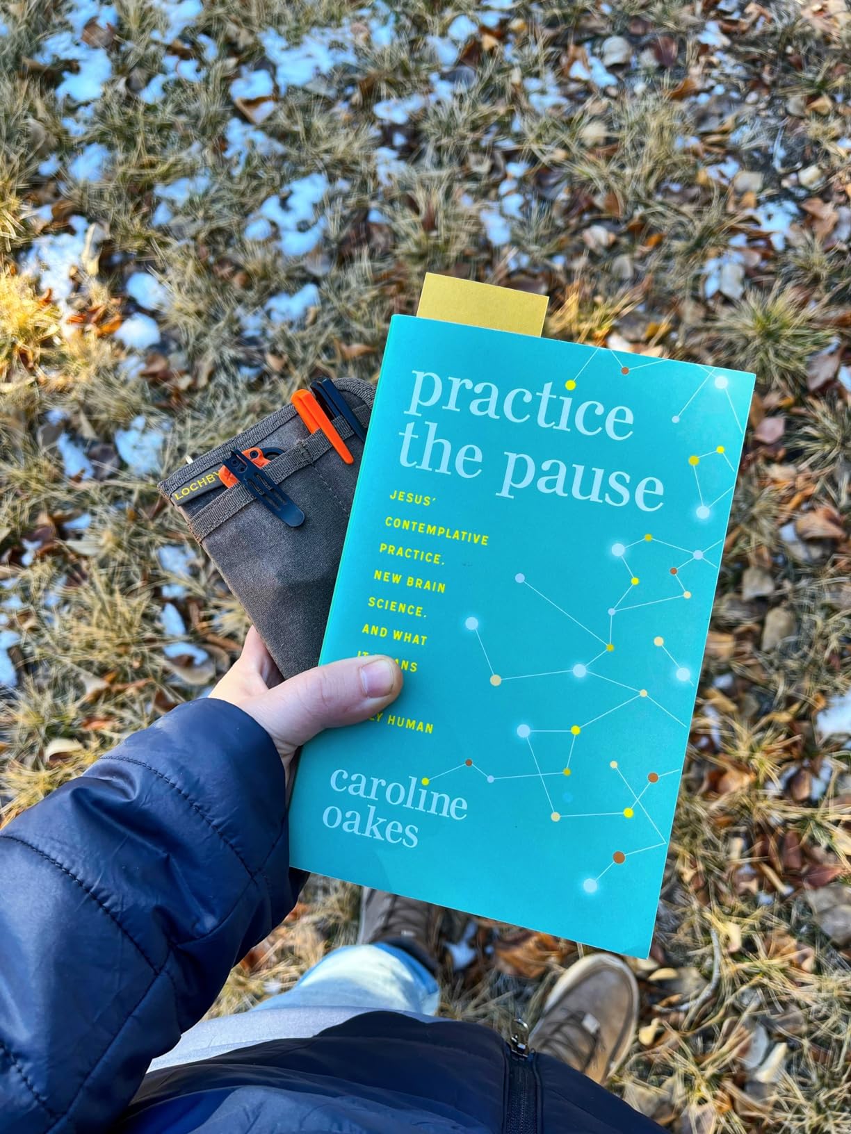 Practice the Pause: Jesus' Contemplative Practice, New Brain Science ...