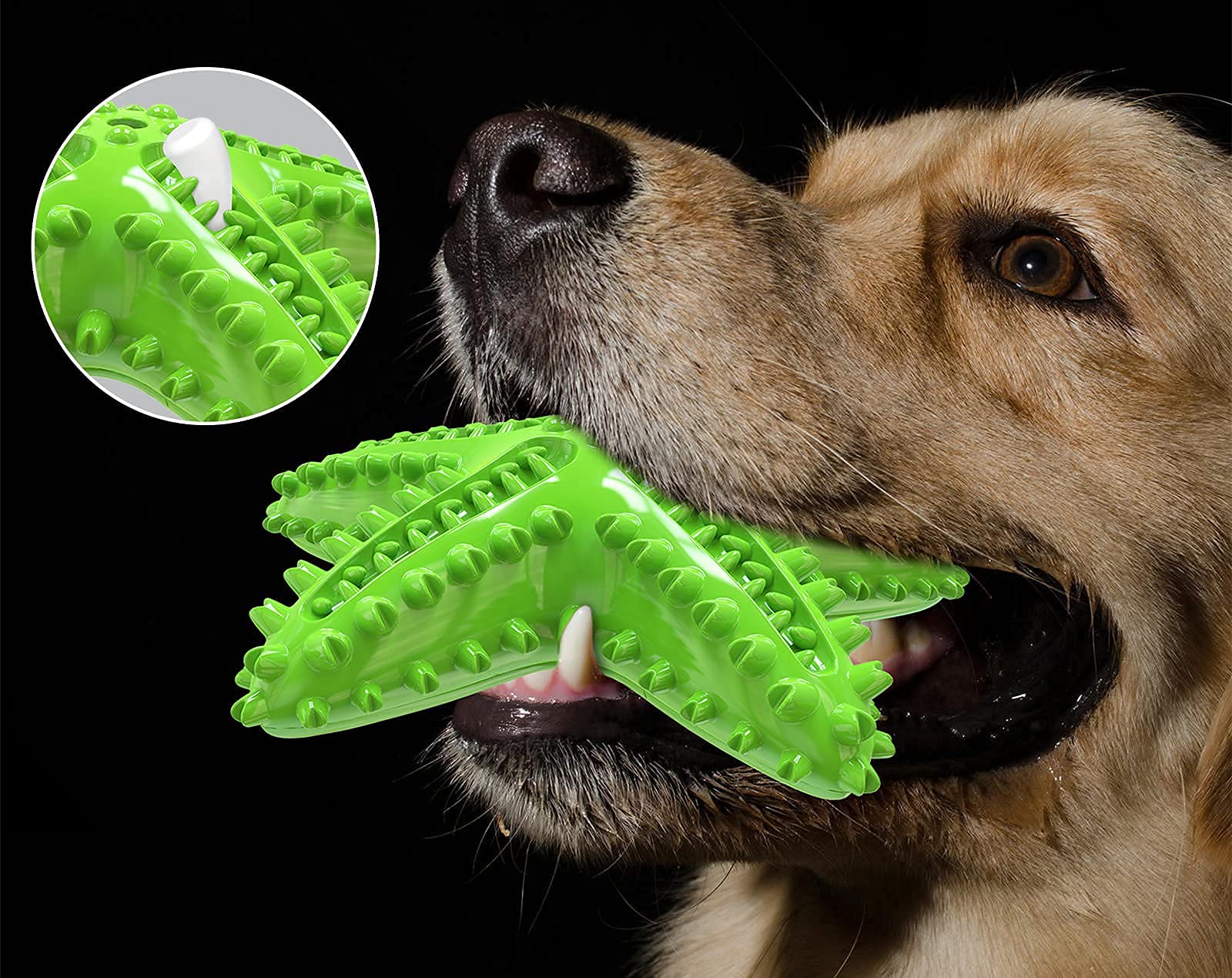 Dog Chew Toy, Starfish Puppy Teeth Toy, Dog Teething Cleaning Chew Toys ...