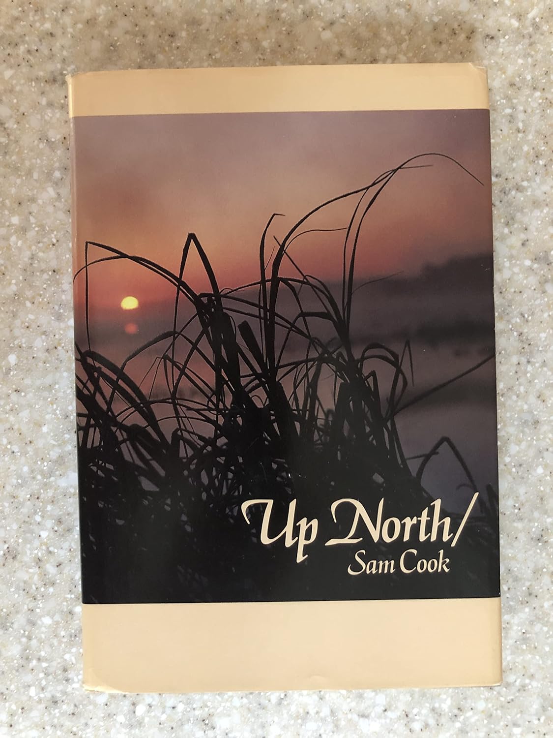 Up North: Cook, Sam: 9780938586098: Amazon.com: Books
