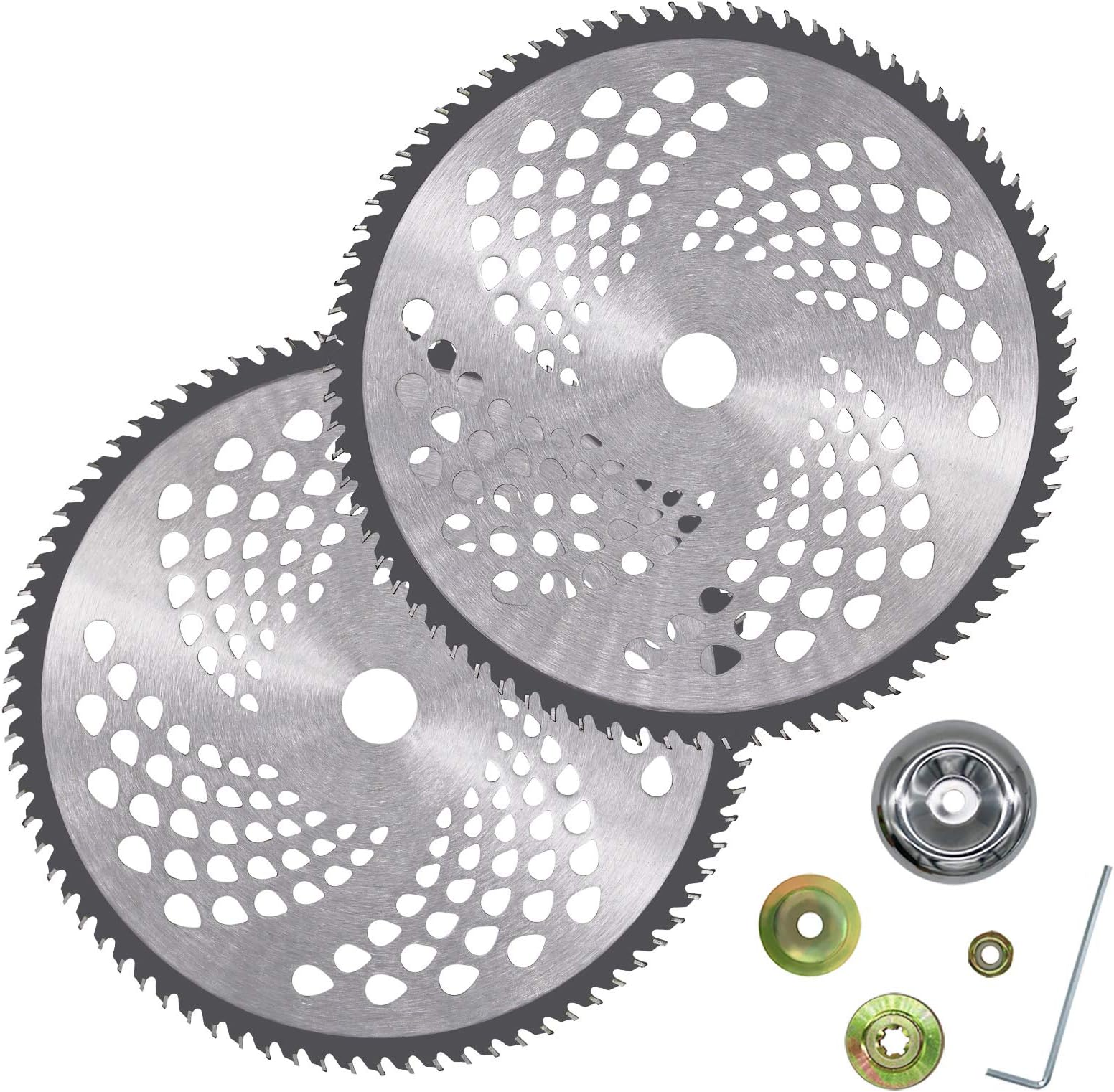 Amazon.com: CZS 10" x 80T Brush Cutter Blade for Weedeater, Carbide Tip ...