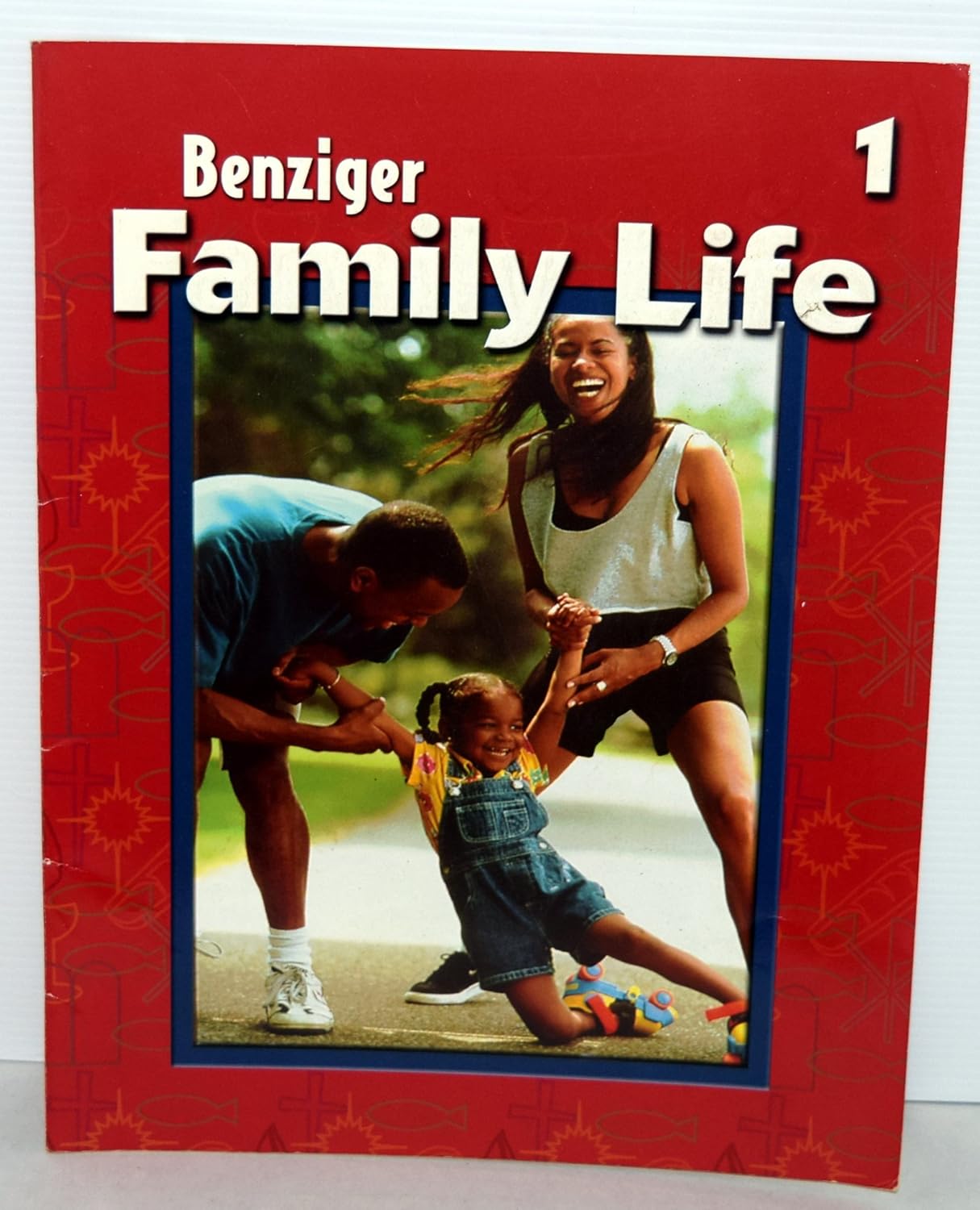Family Life - Grade 1: unknown author: 9780026563253: Amazon.com: Books