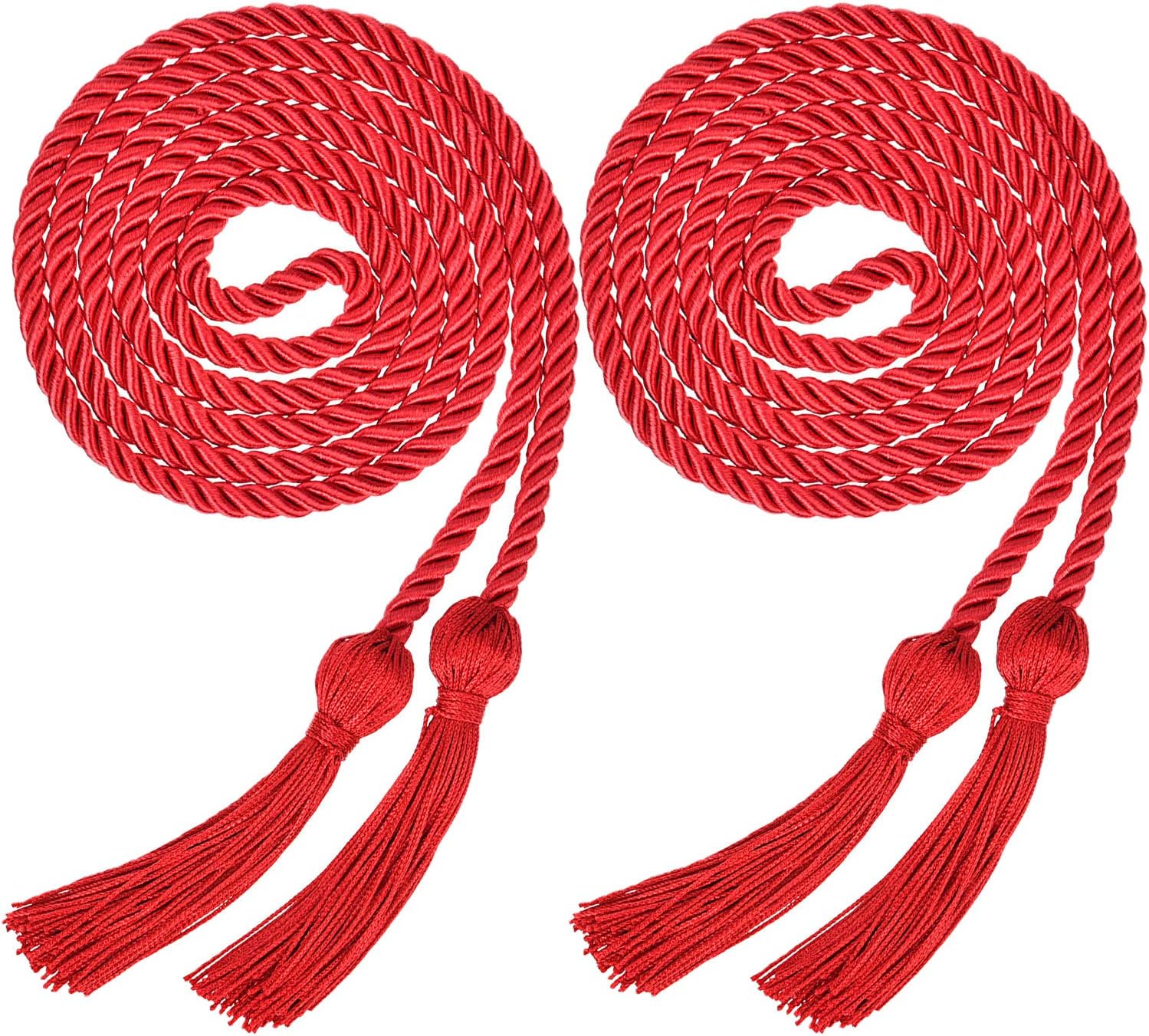 Amazon.com: Graduation Honor Cord with Tassels for Grad Days and ...