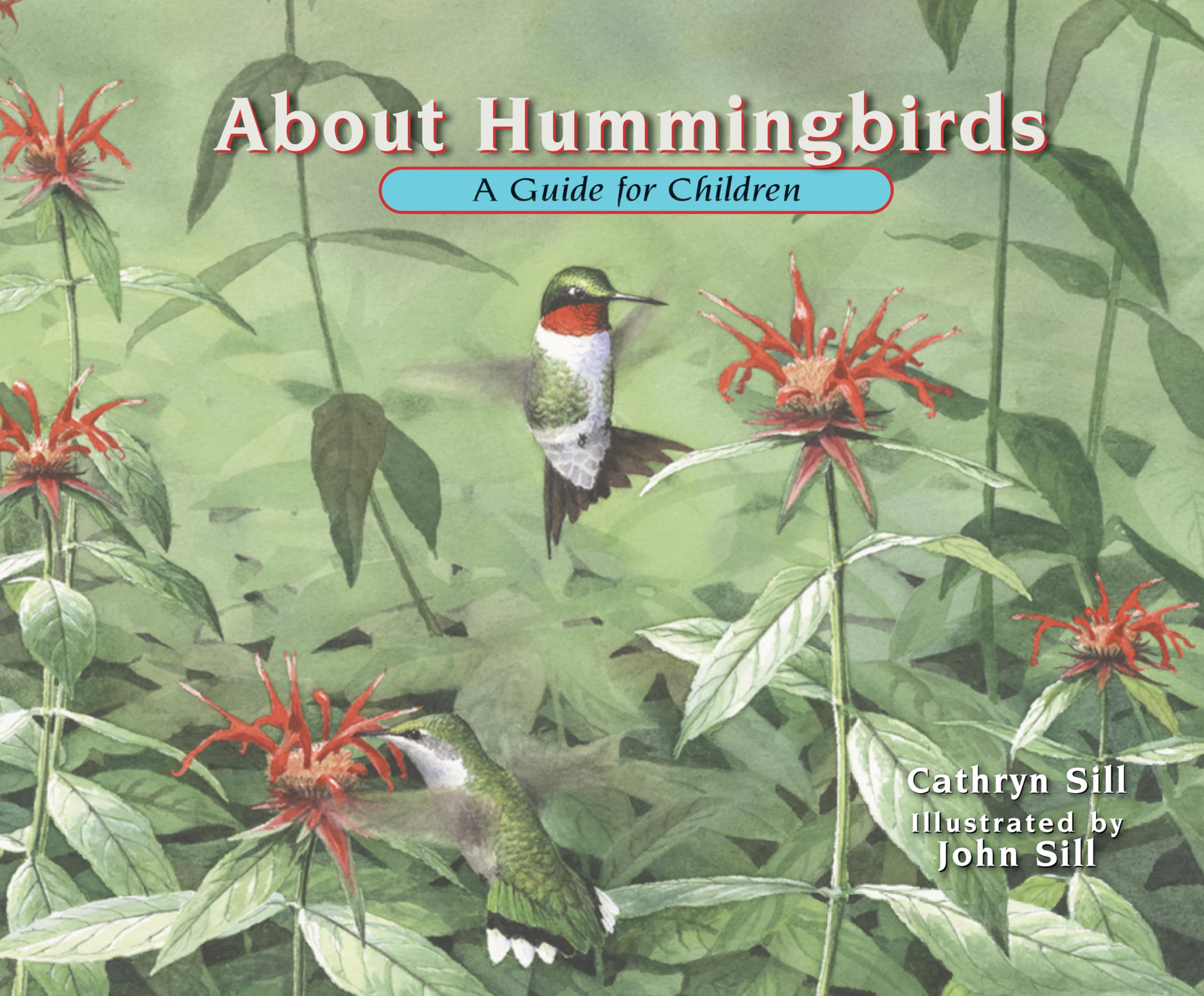 About Hummingbirds: A Guide for Children: 14 : Sill, Cathryn, Sill ...