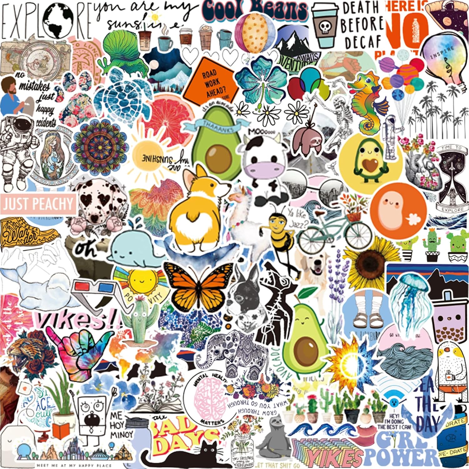 Amazon.com: Skateboard Stickers Pack 75-Pcs Laptop and Water Bottle ...