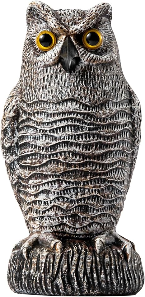 Amazon.com : OFFO Bird Scare Devices Plastic Owl Scarecrow for Outdoor ...