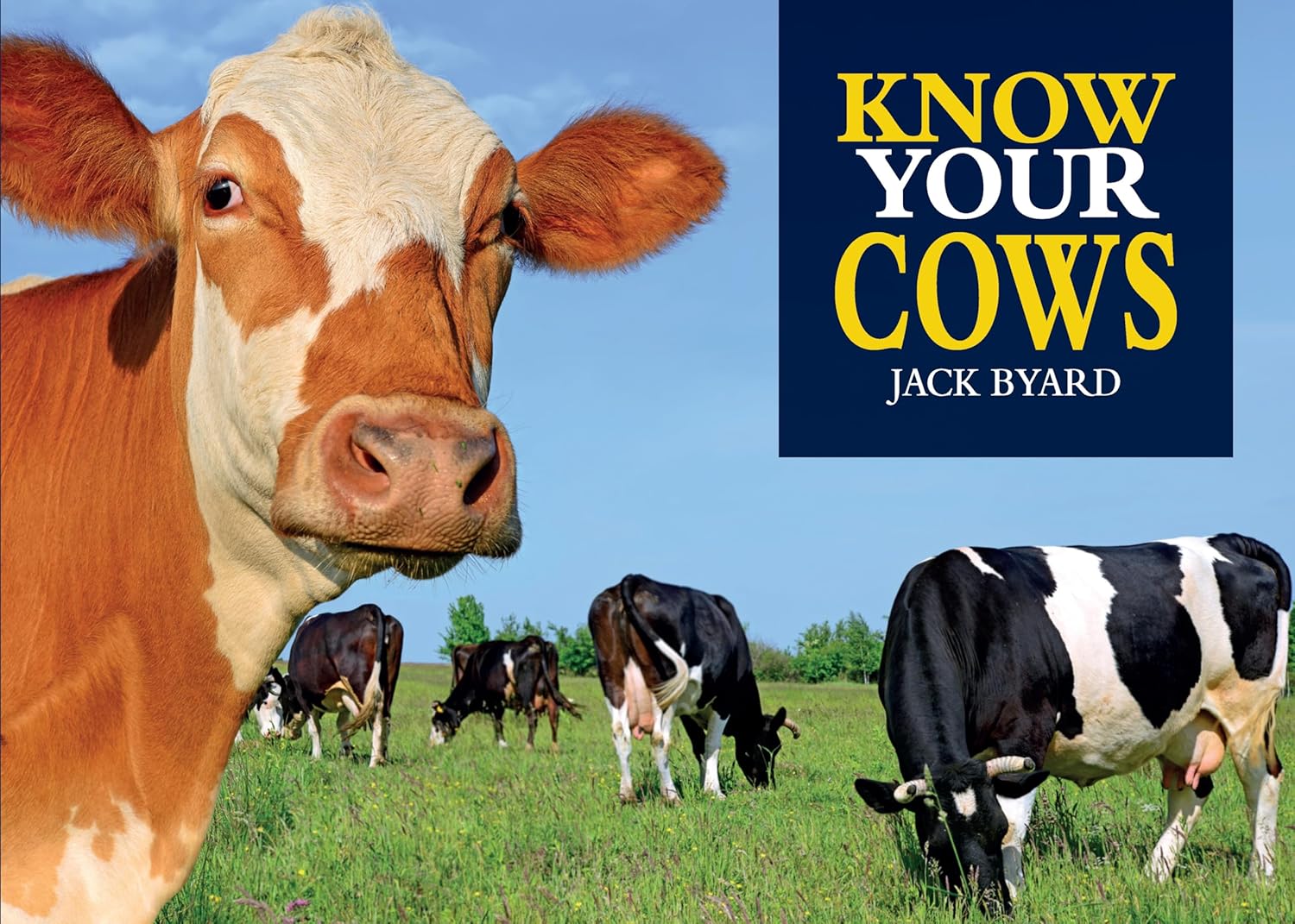 Know Your Cows : Byard, Jack: Amazon.de: Bücher