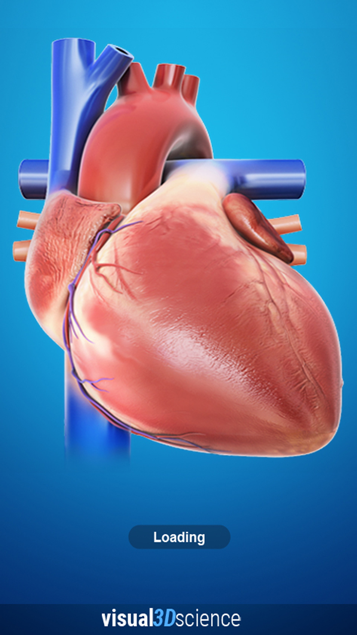 My Heart Anatomy - App on the Amazon Appstore