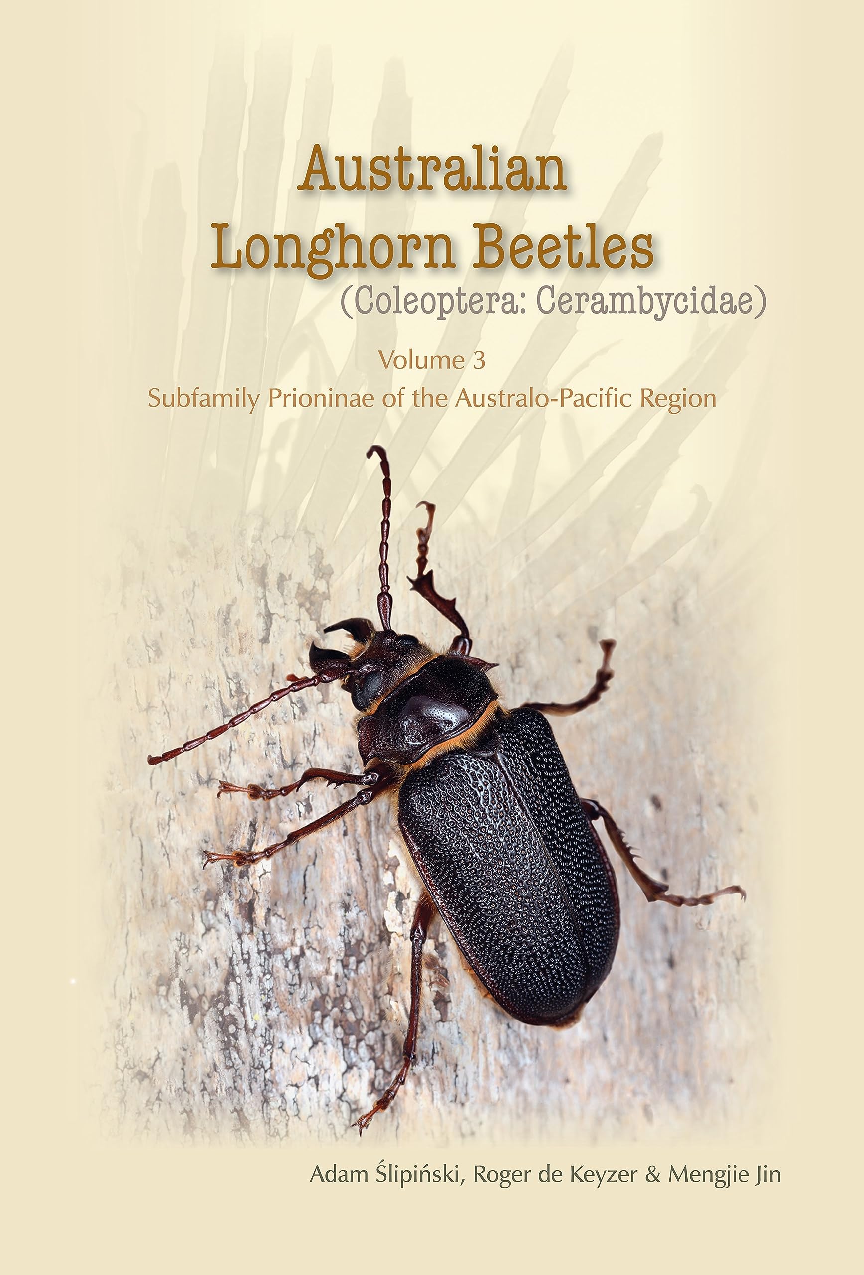 Australian Longhorn Beetles: (Coleoptera: Cerambycidae): Slipinski ...