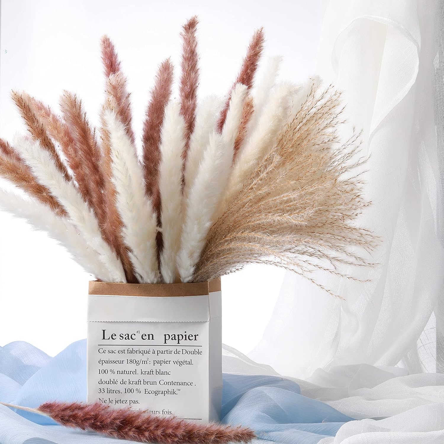 Buy Datanly 75 Pieces Natural Dried Pampas Grass Pompous Grass Include ...