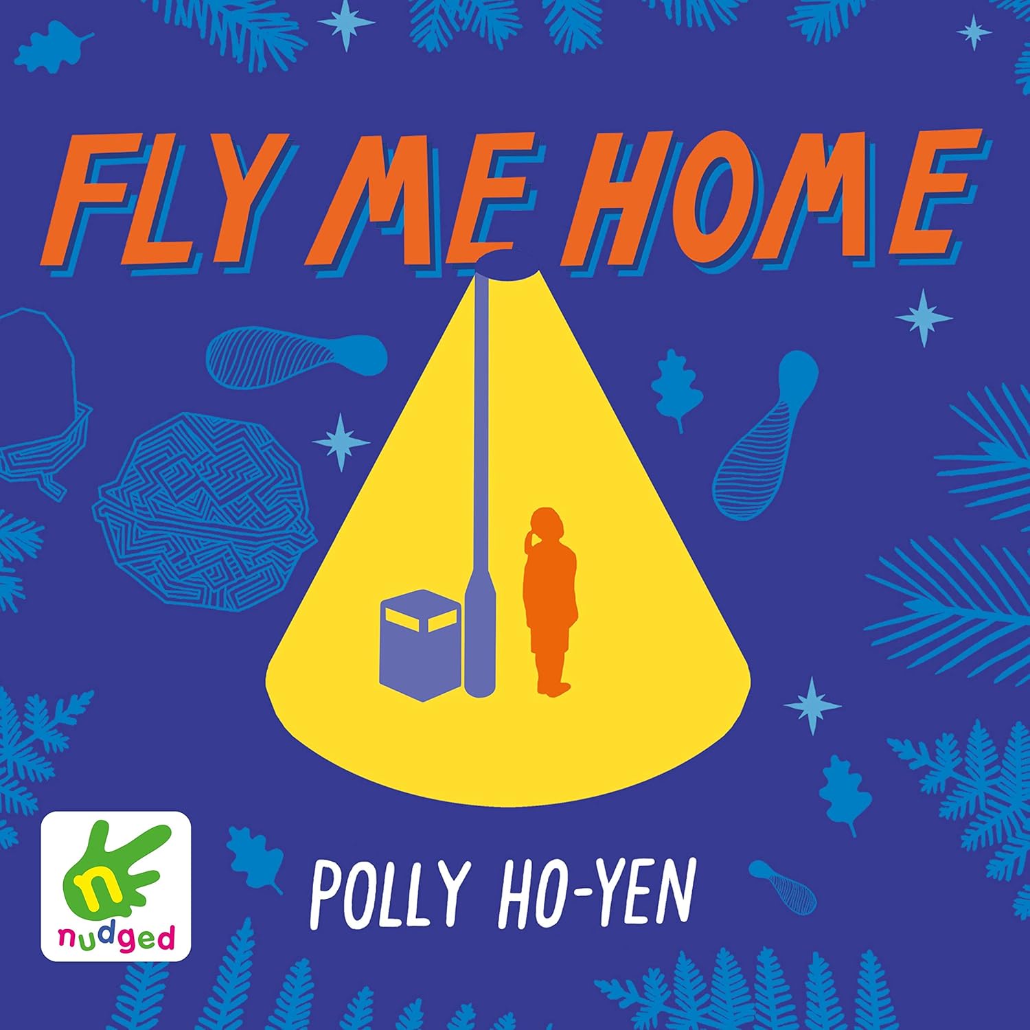 Fly Me Home: Amazon.co.uk: Ho-Yen, Polly, Rodrigues, Tania: 9781004035366: Books