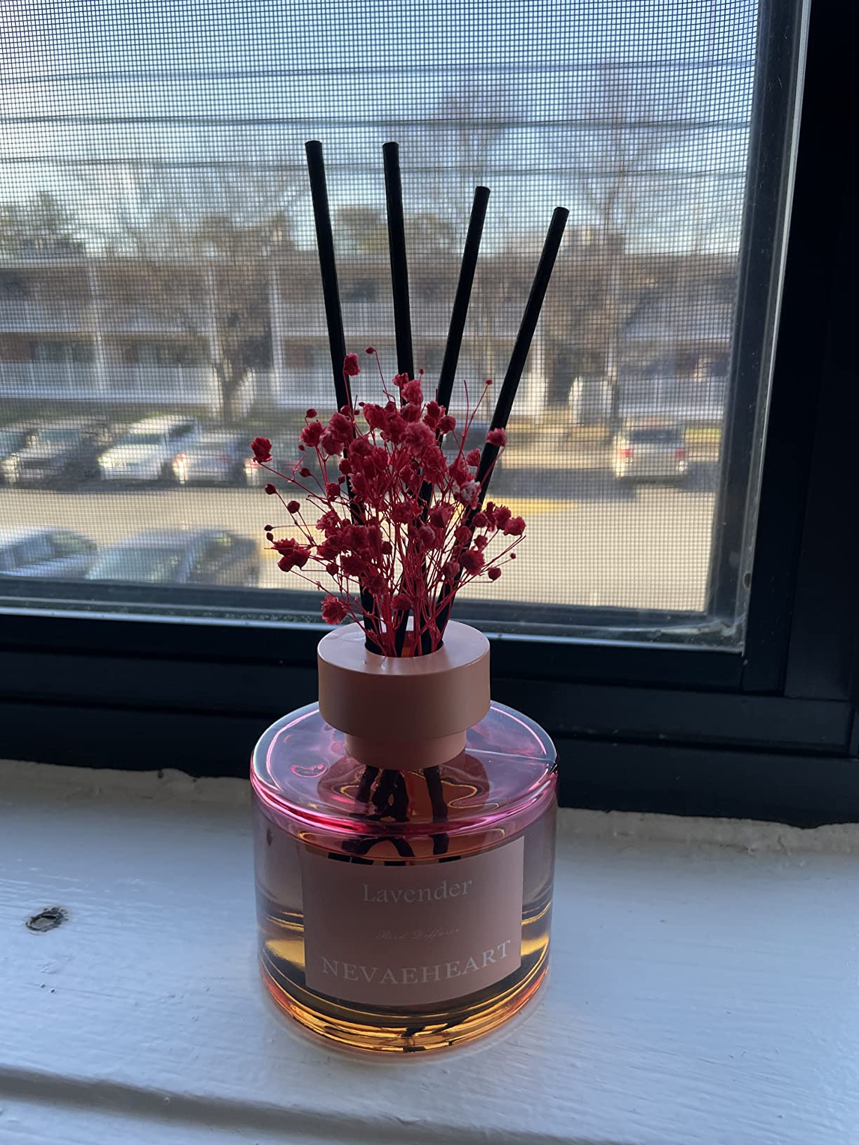 $2/mo - Finance NEVAEHEART Preserved Real Flower Reed Diffuser, Jasmine ...