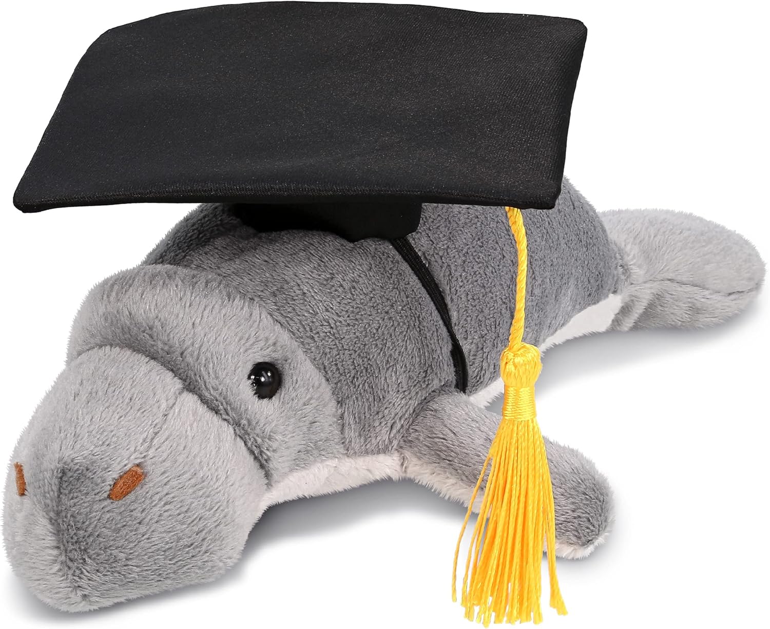 Amazon.com: DolliBu Grey Manatee Graduation Plush Toy - Wild Collection ...