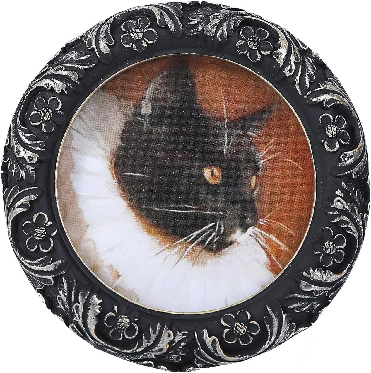Amazon.com - SIKOO Vintage Resin Picture Frame, 3x3 Round, Black and ...