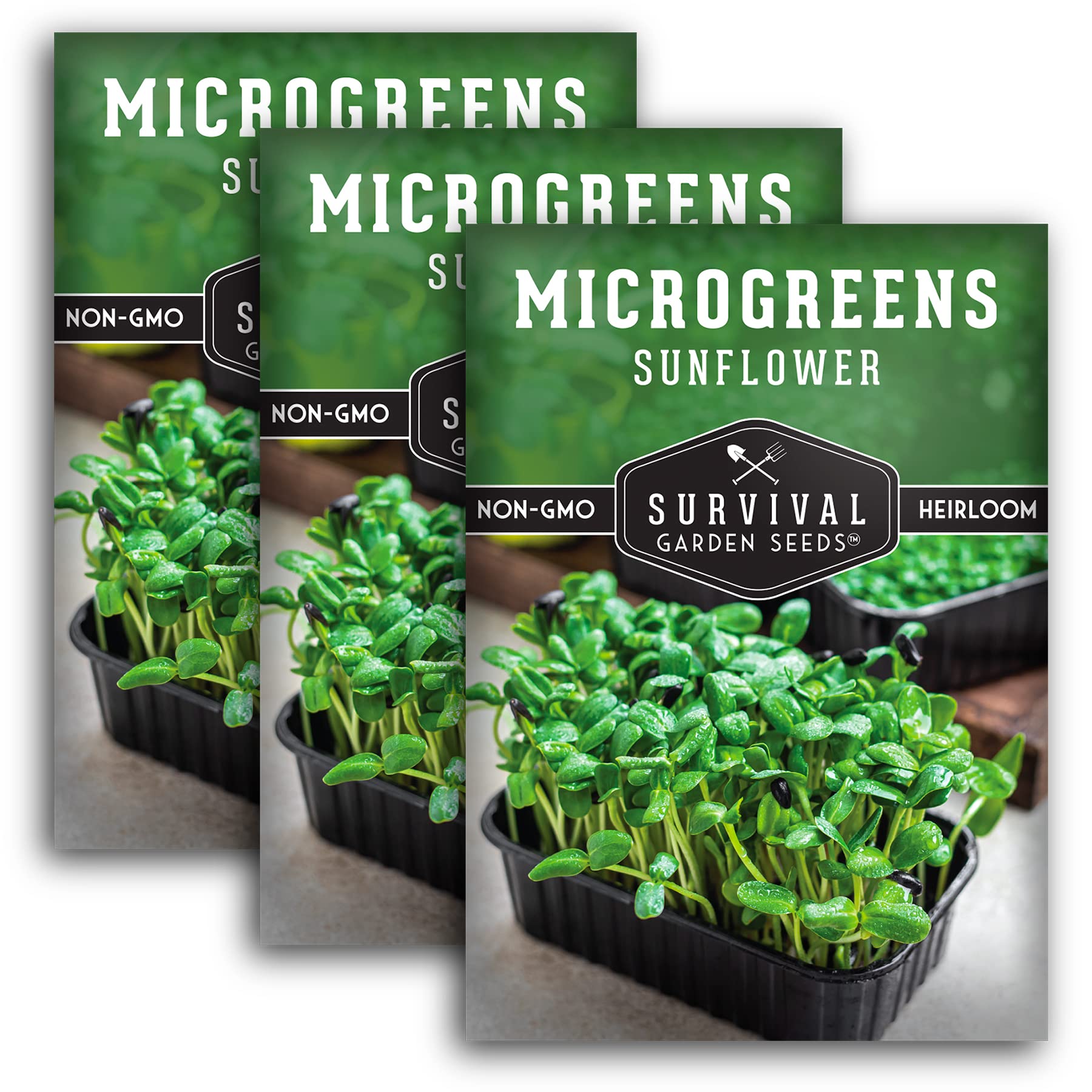 Amazon.com : 3 Packs Sunflower Microgreens Seeds for Planting and ...