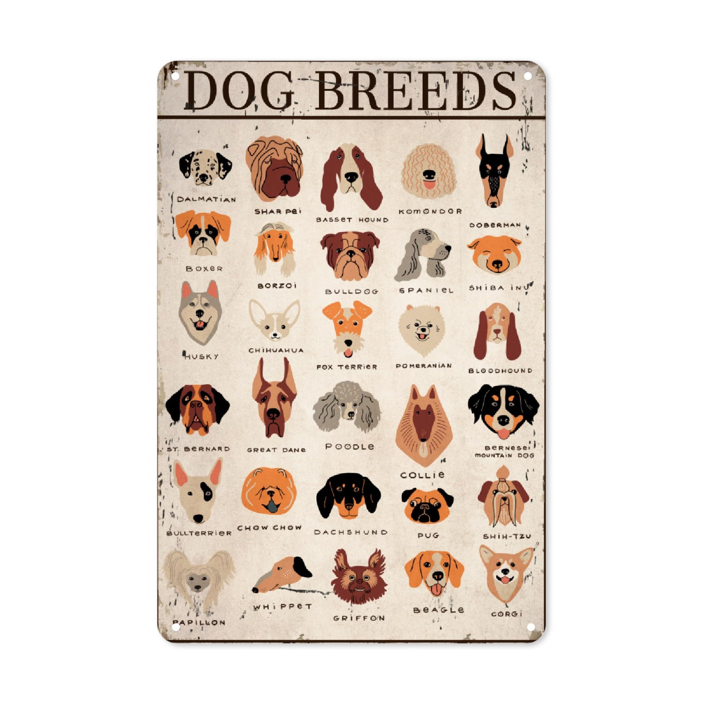 Amazon.com: Metal Sign Gifts Wall Decor Funny Dog Breeds Tin Signs Wall ...