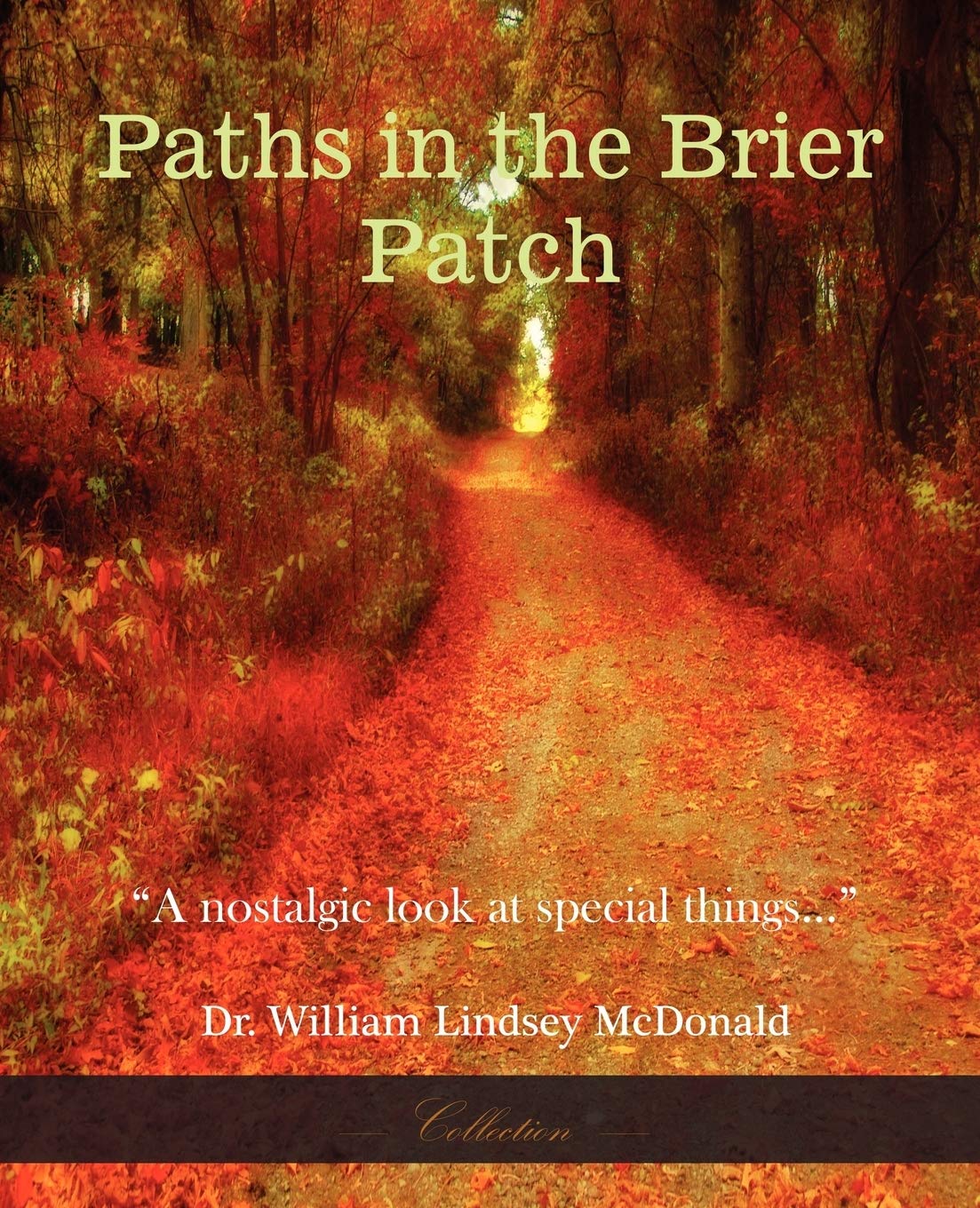 Paths in the Brier Patch: McDonald, William Lindsey, Mcdonald, Dorothy, Carter: 9781934610060 ...