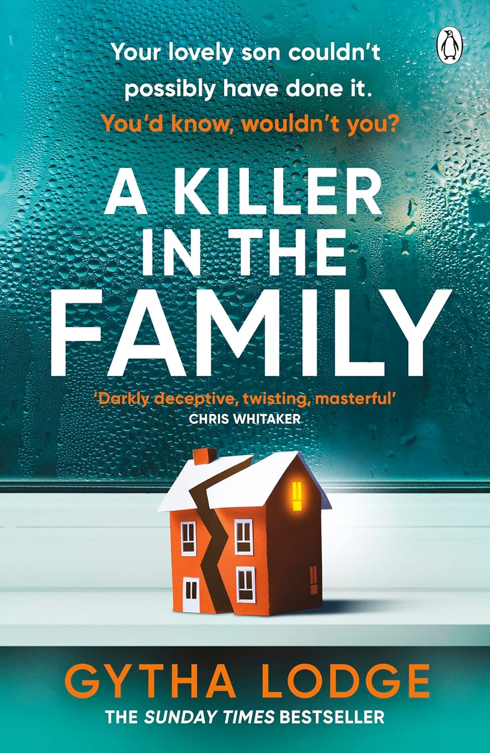 A Killer in the Family: The gripping new thriller that will have you ...
