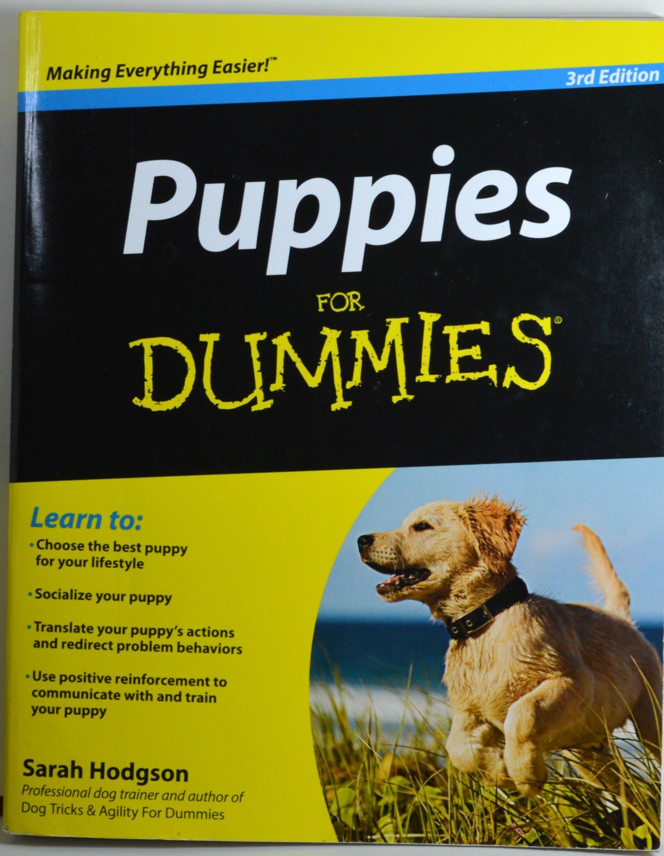 Puppies For Dummies 3e: Hodgson, Sarah: 9781118117552: Amazon.com: Books